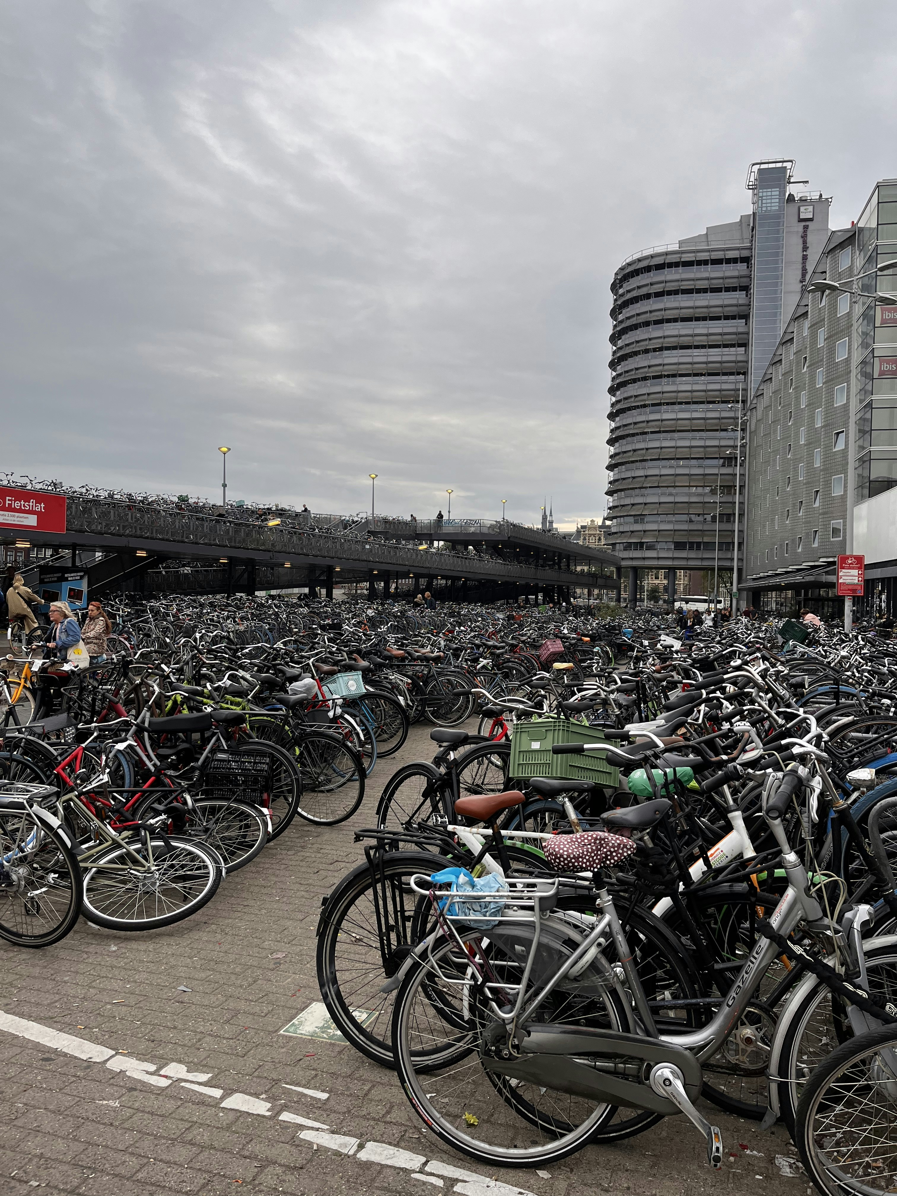A large group of bicycles parked on the side of a street photo – Free ...