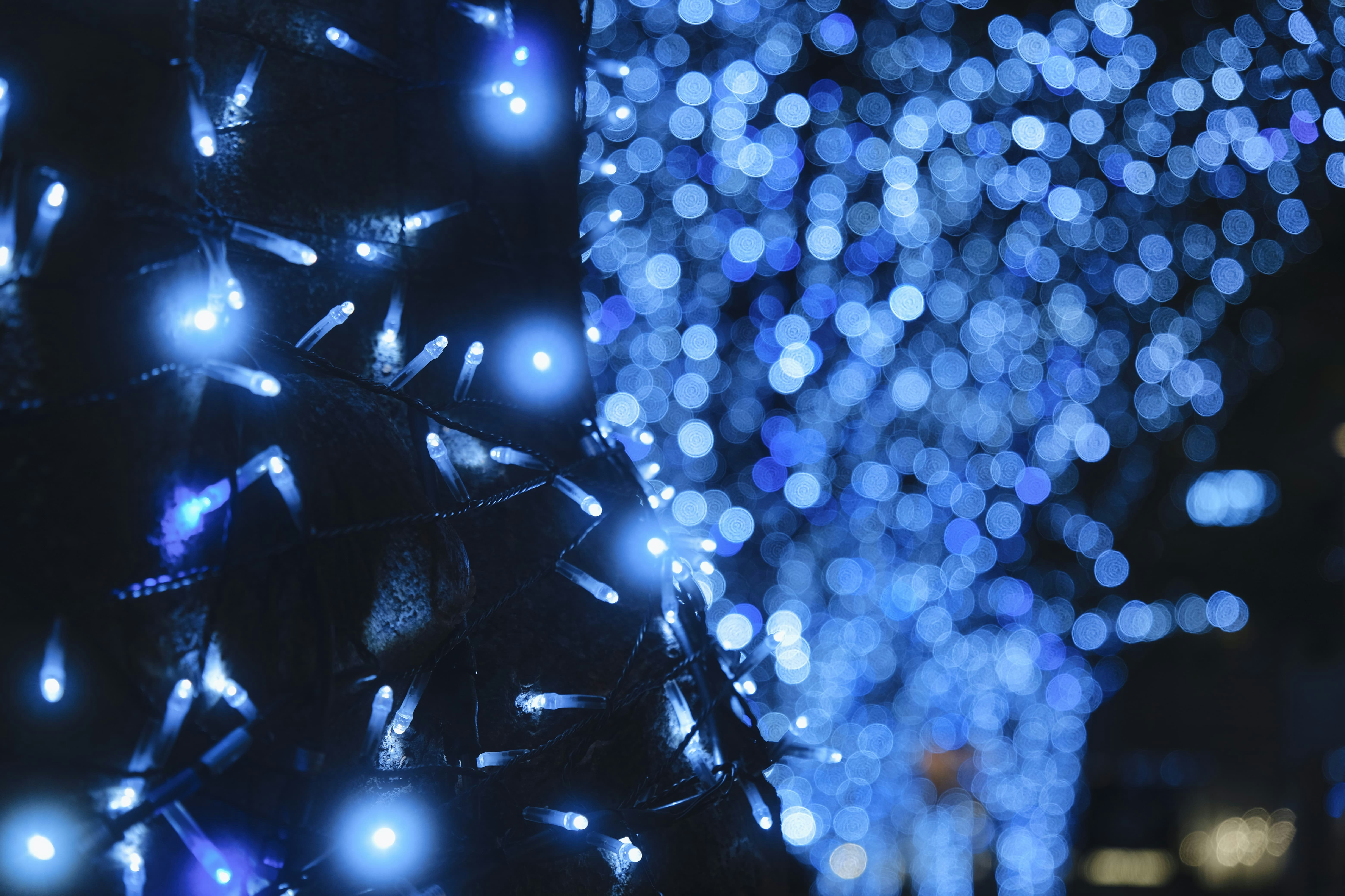 Photo by Leo Okuyama with Fujifilm X-T30