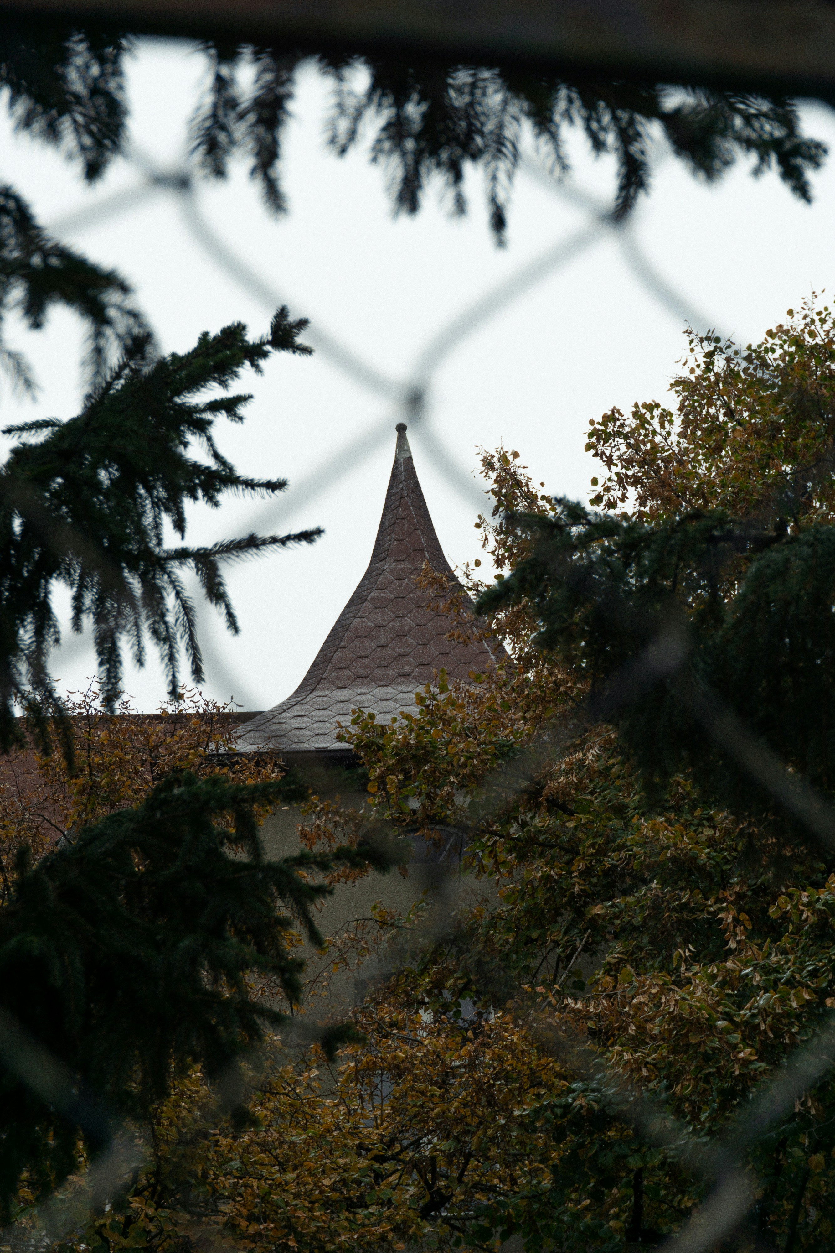 A tall pointed tower photo – Free Roof snow Image on Unsplash