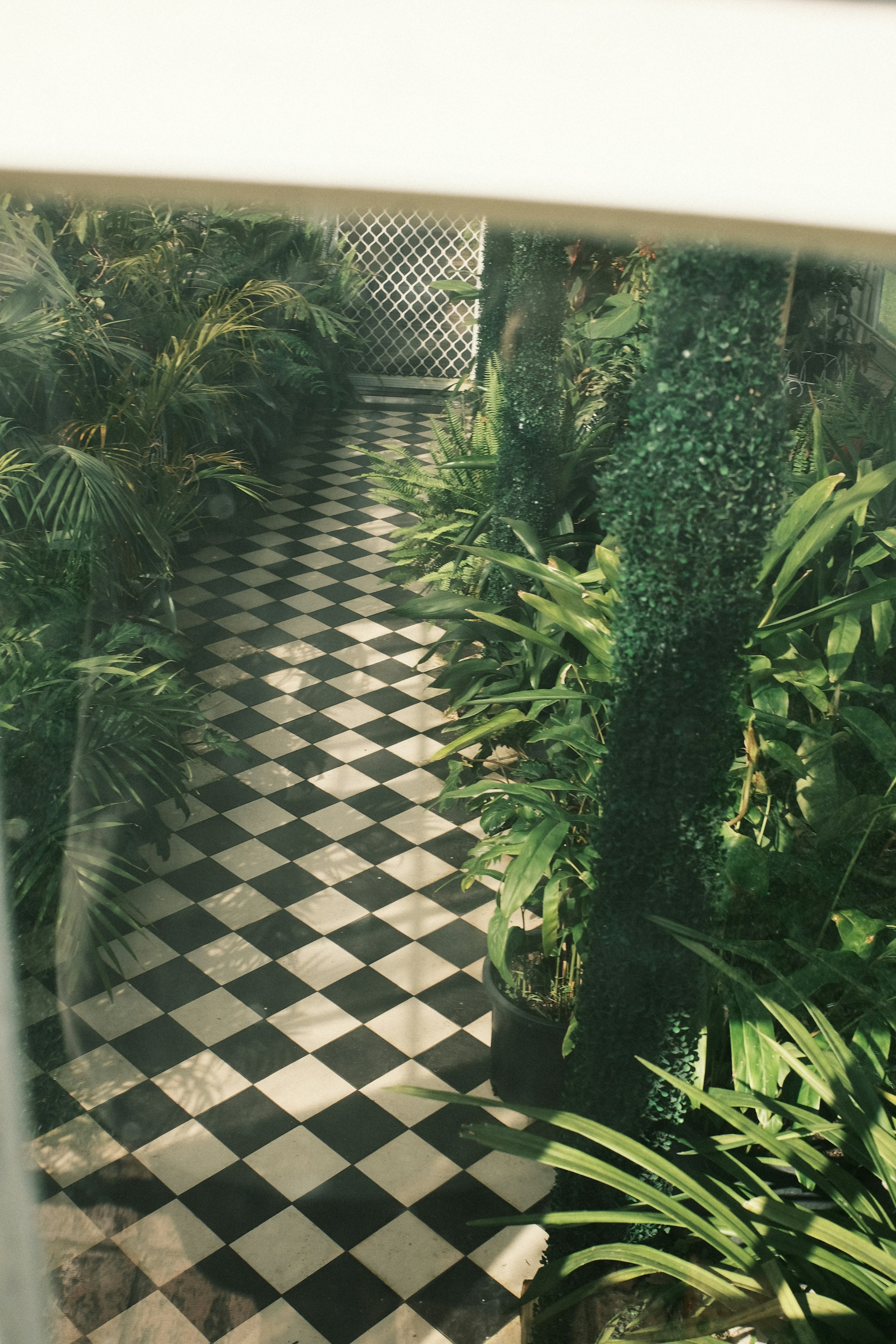 A vibrant pathway lined with lush greenery and a striking checkered floor pattern. The scene invites exploration and tranquility.