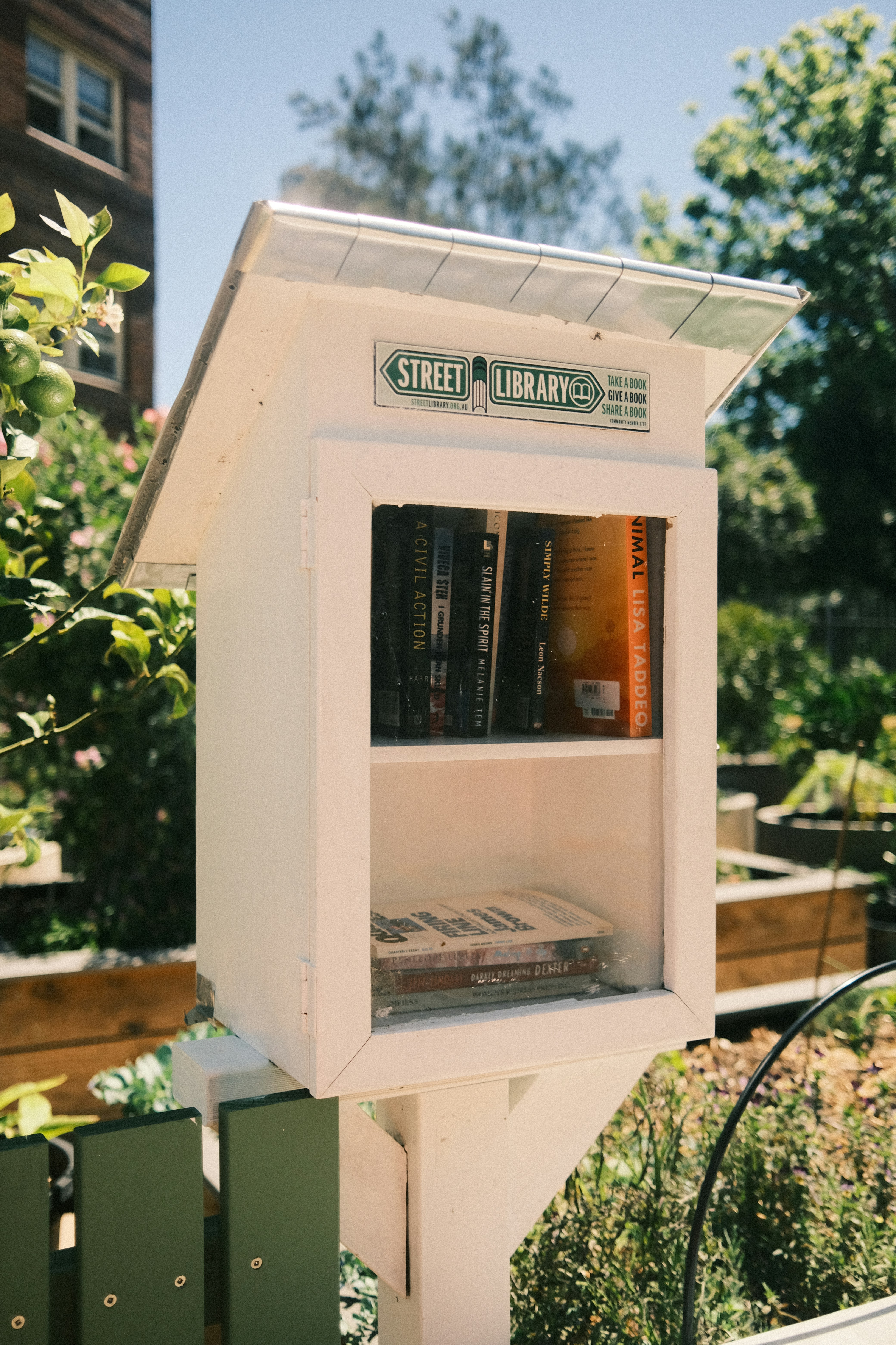 Sunlit Street Library: A Tiny White Book Nook Amid Greenery