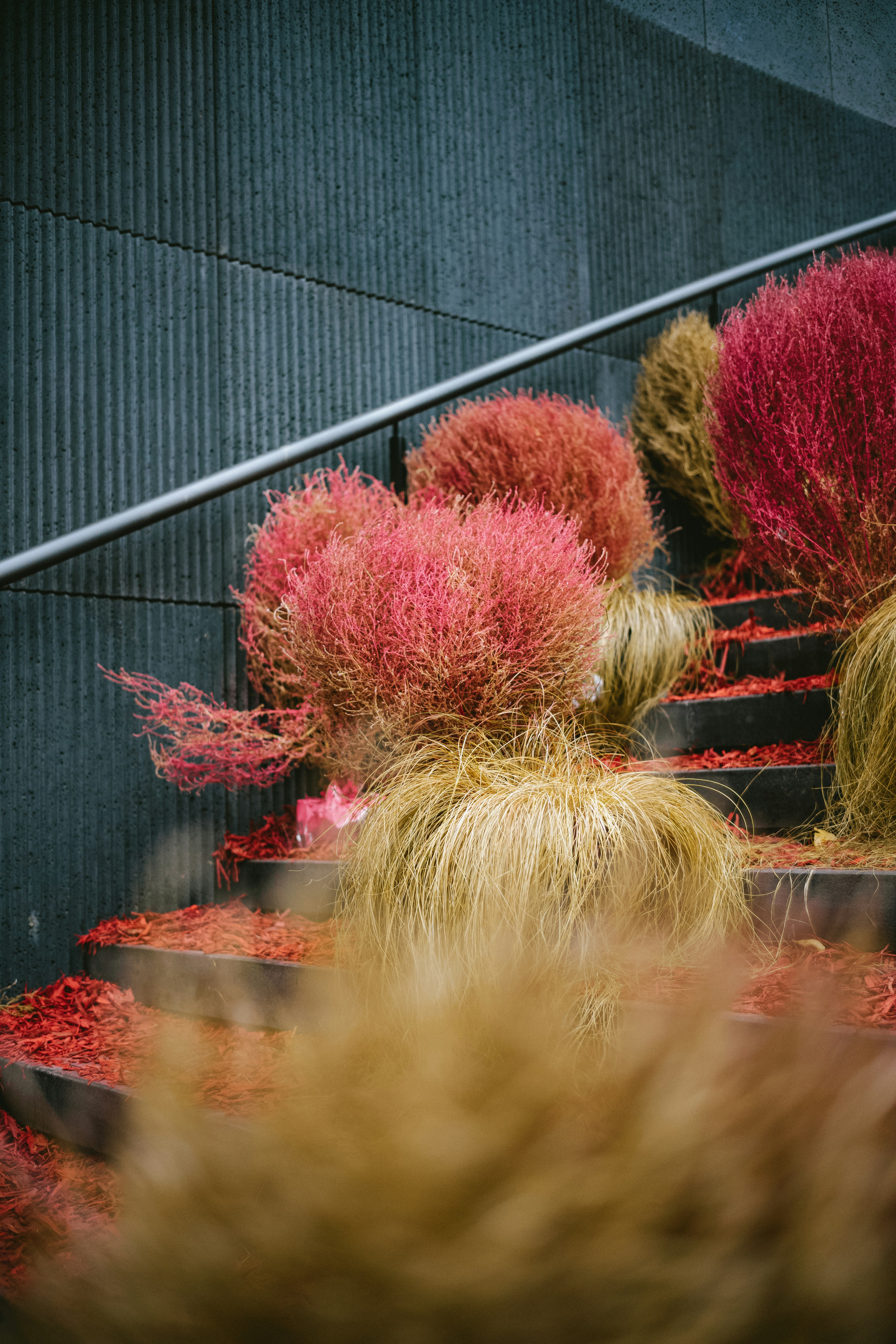 Fibrous Bloom on Industrial Stairs: A Textile Staircase Portrait