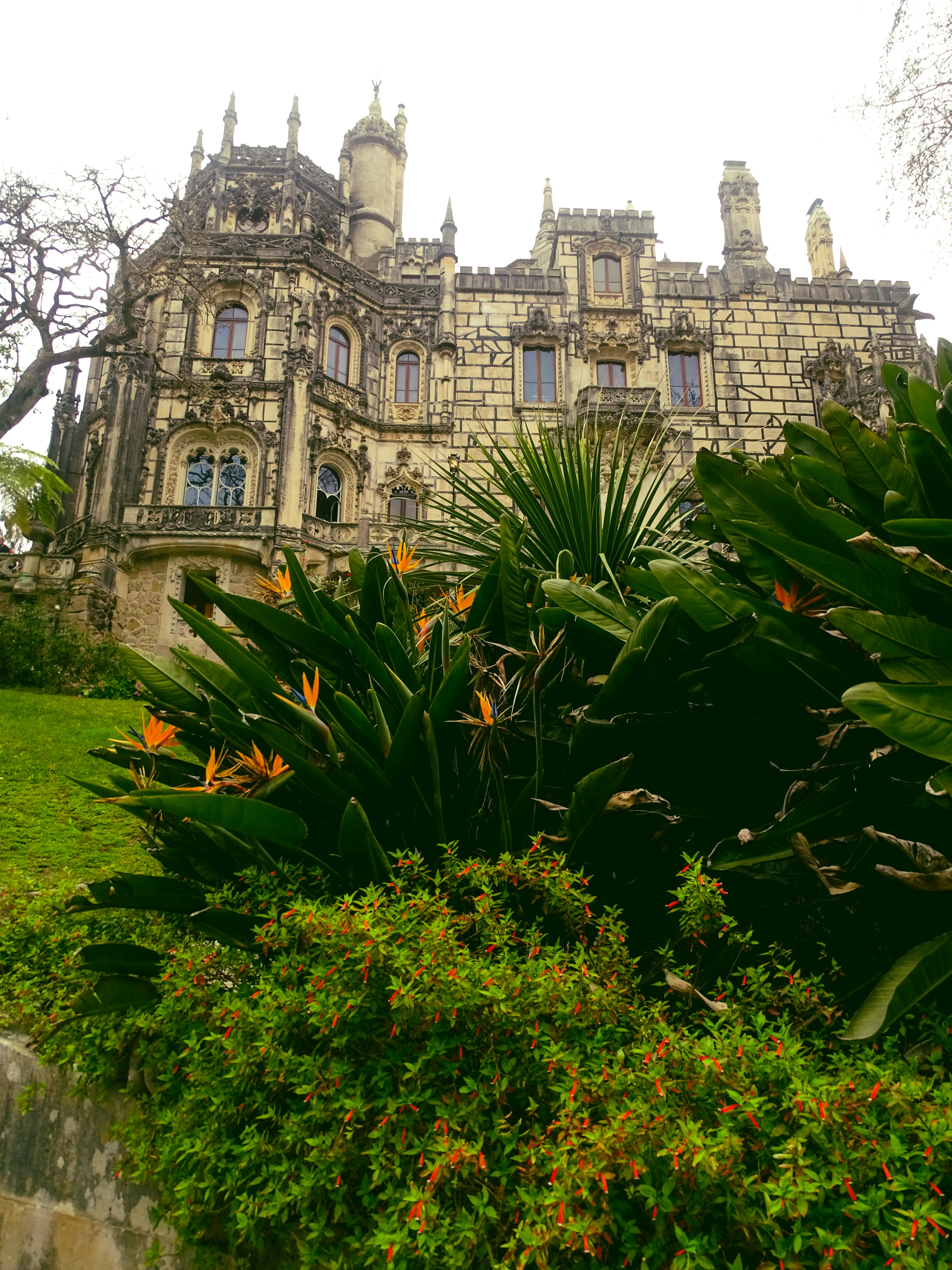 Photo by filterlate with Sony Cyber-shot HX400V