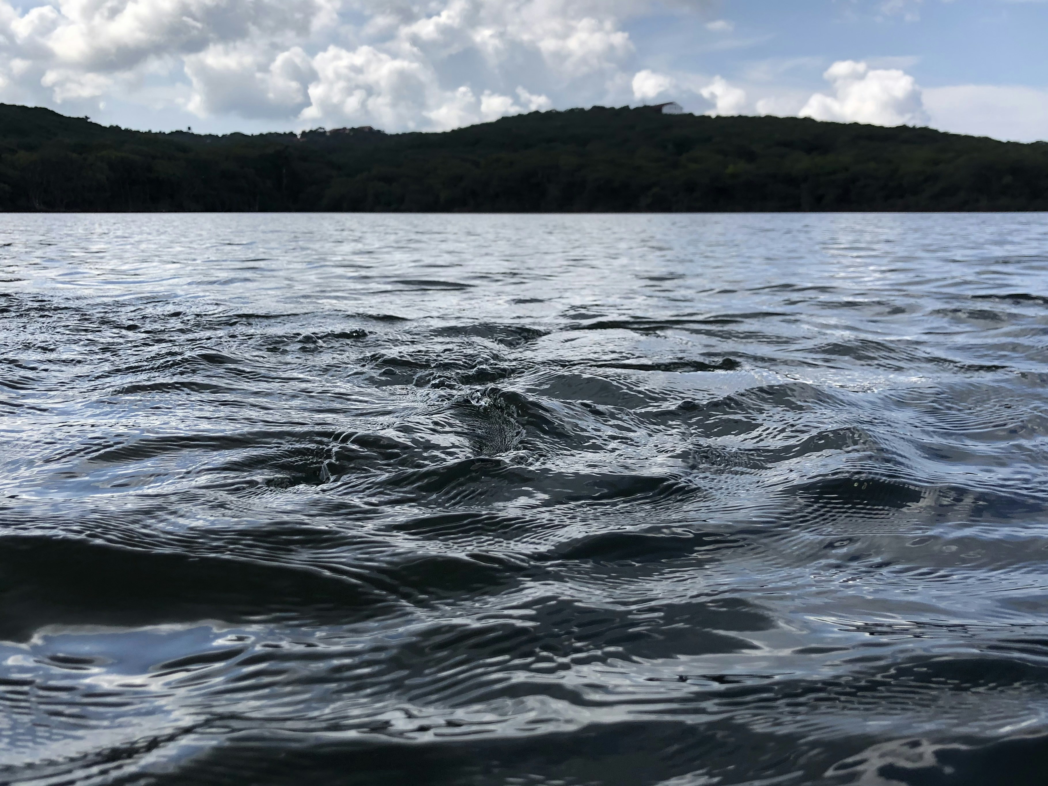 Ripple Edge: Foreground Water Texture Draws the Eye to a Quiet Lakeside Horizon