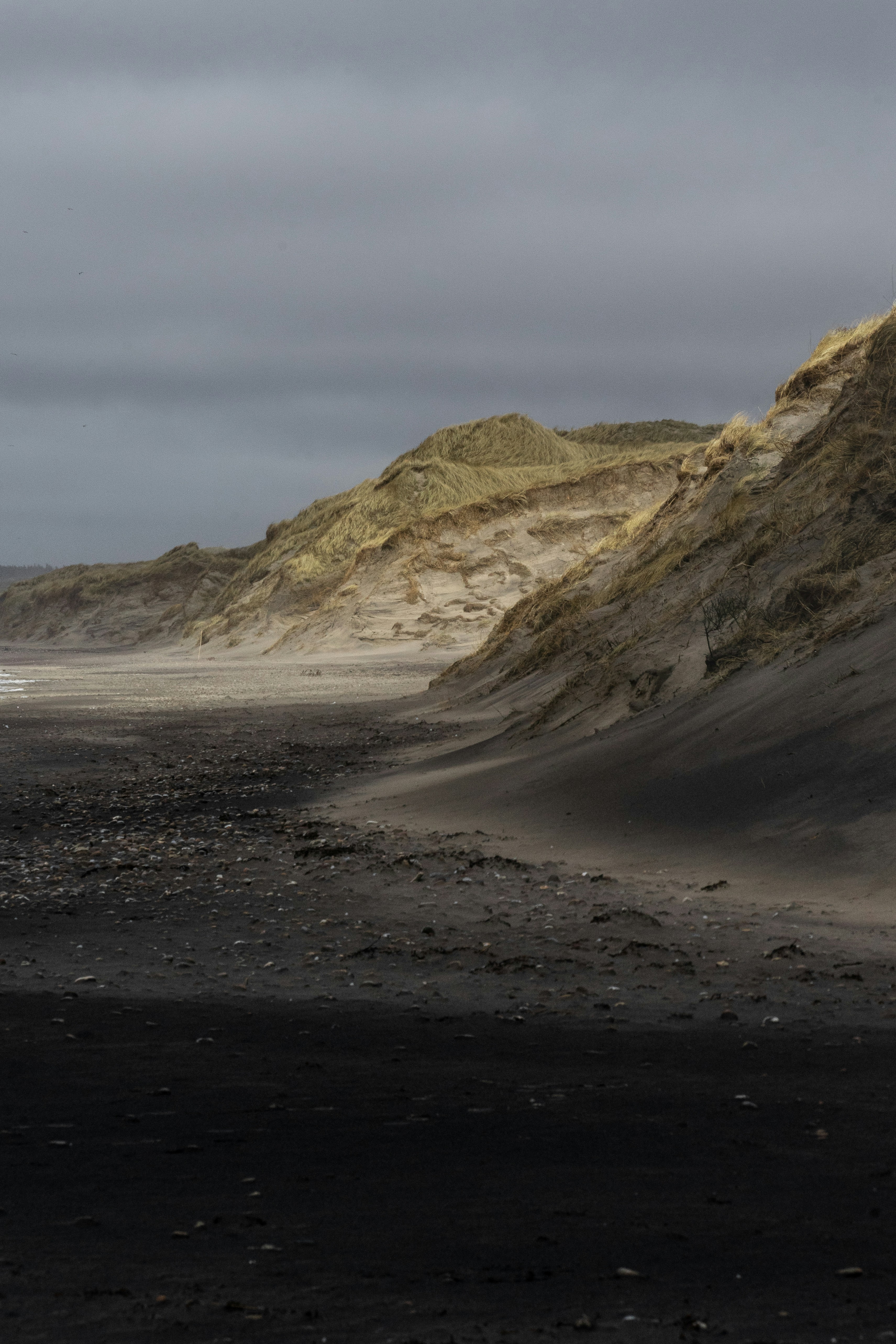 Sunlit Strata along a Quiet Black-Sand ShoreJonas Schöne