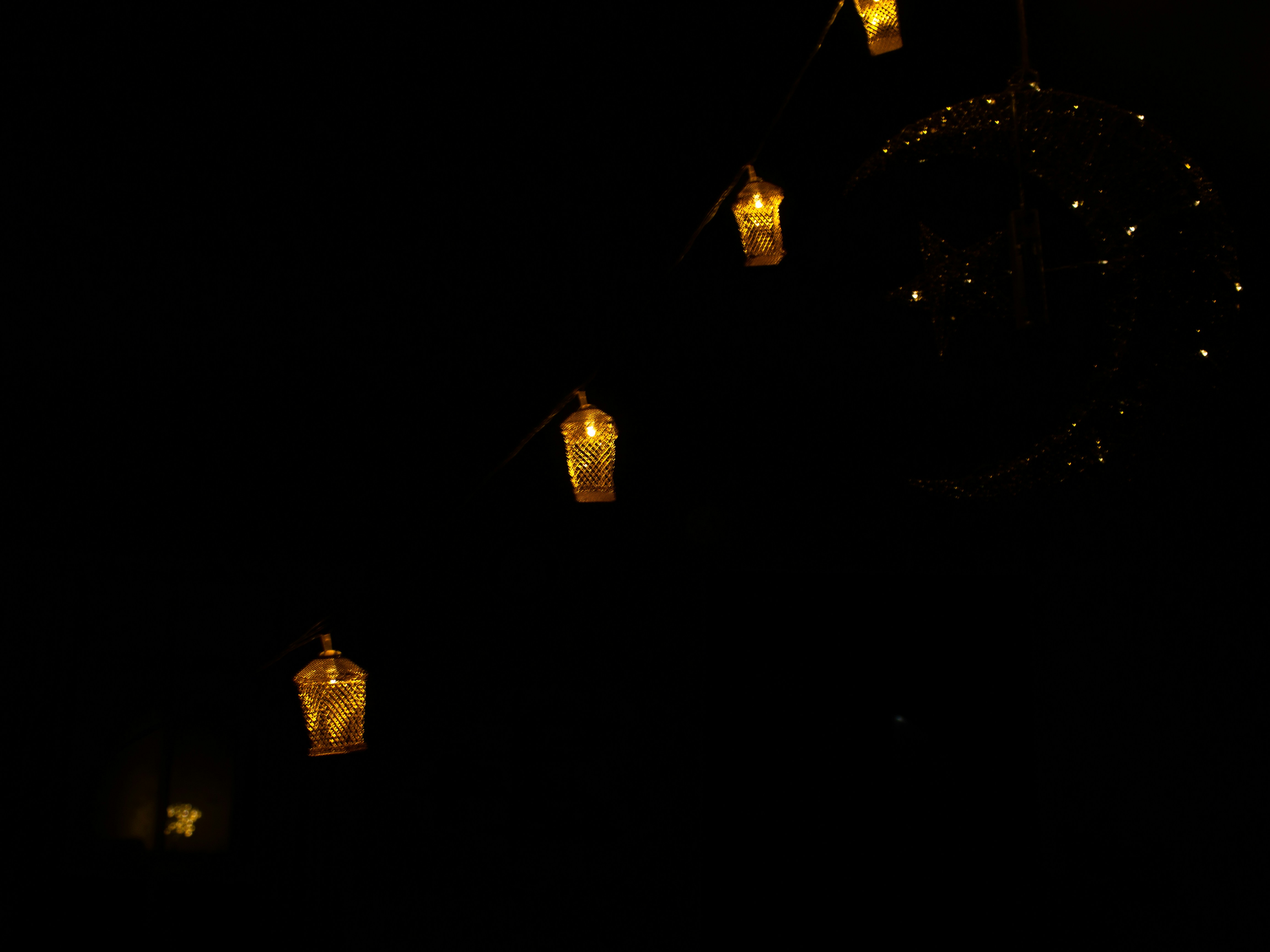 A group of bugs on a string photo – Free Dark Image on Unsplash