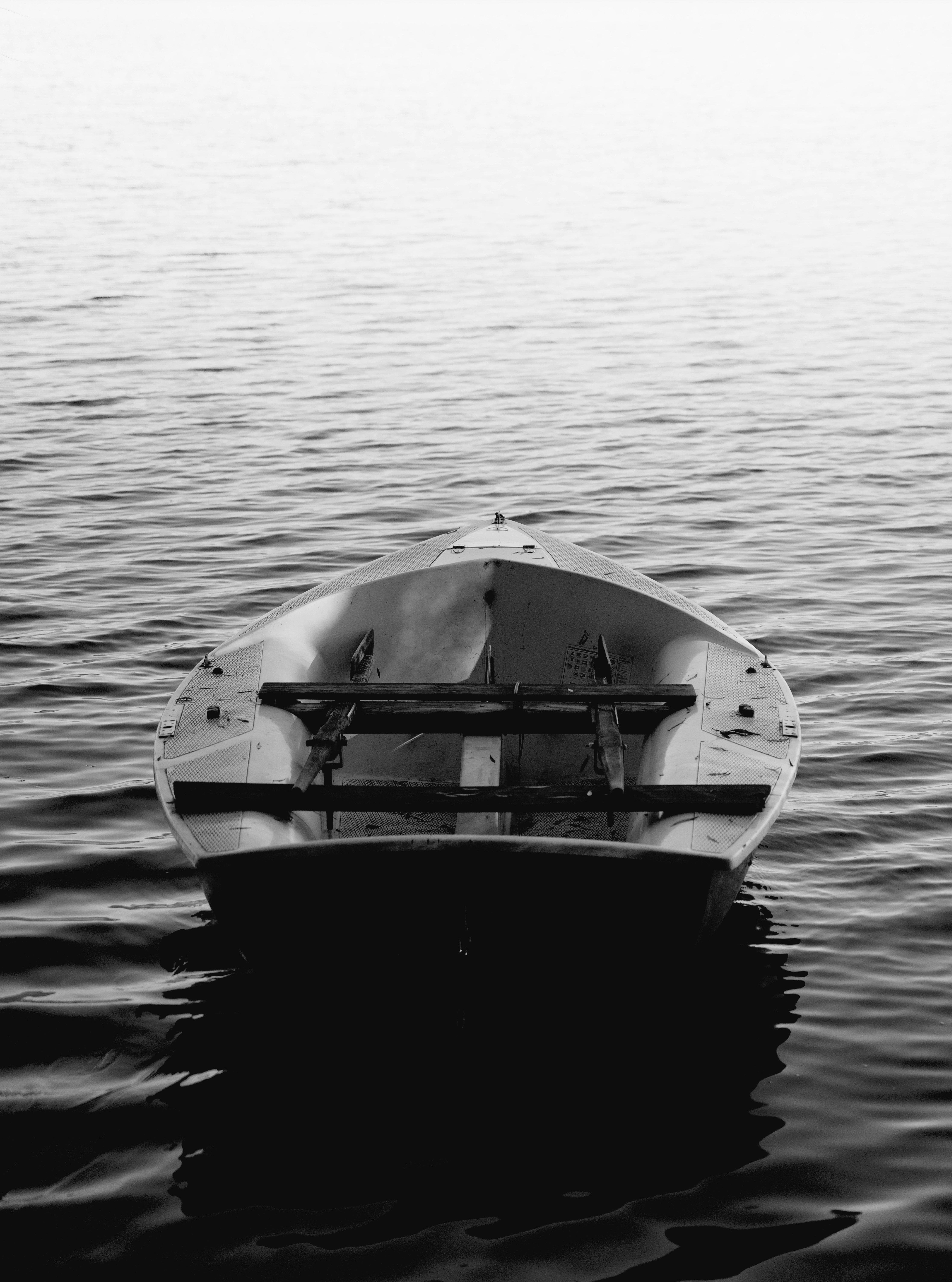 Photo by cubicroot XYZ with Sony Alpha 7R III