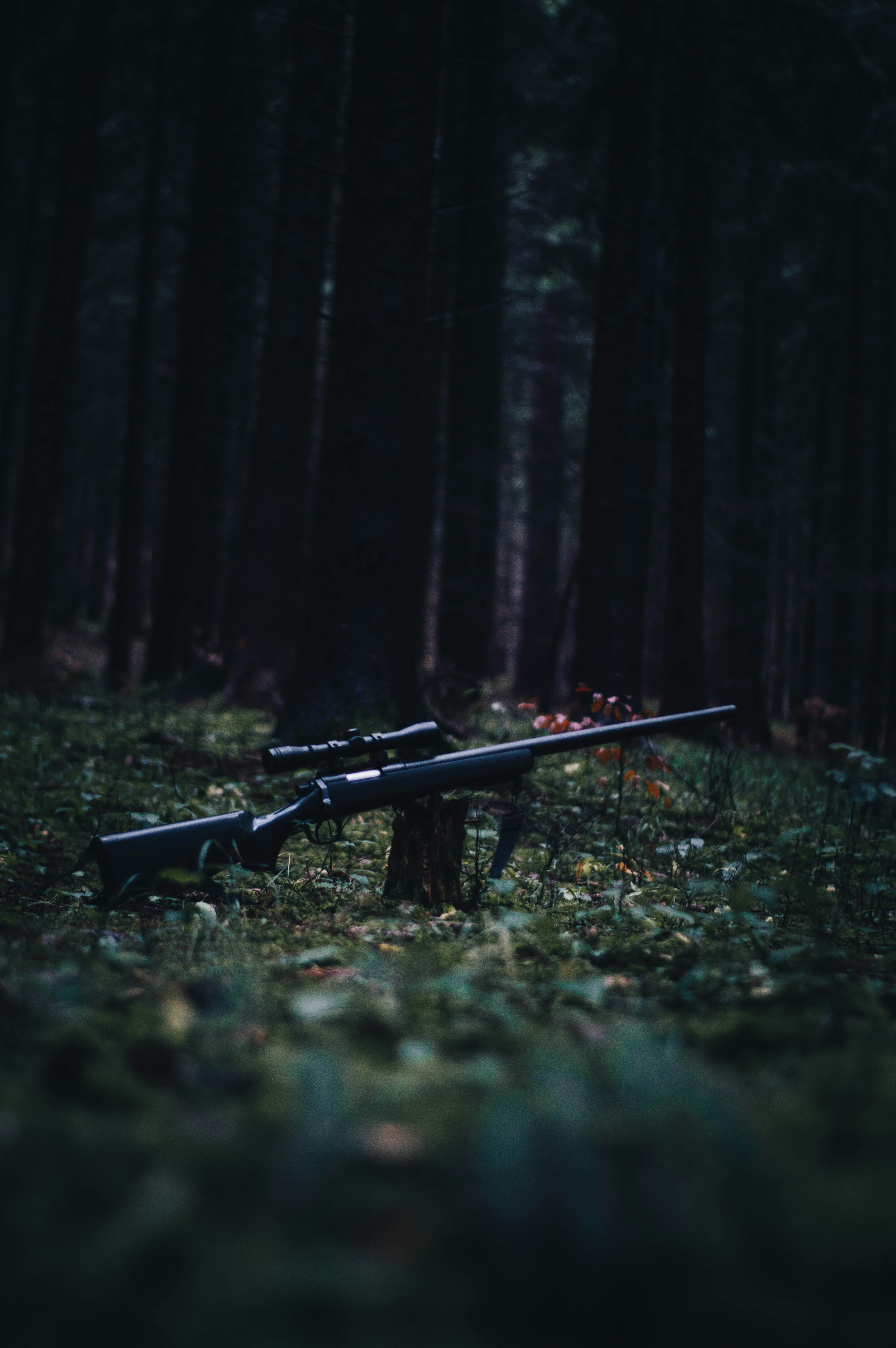 A gun in the woods photo – Free Firearm Image on Unsplash