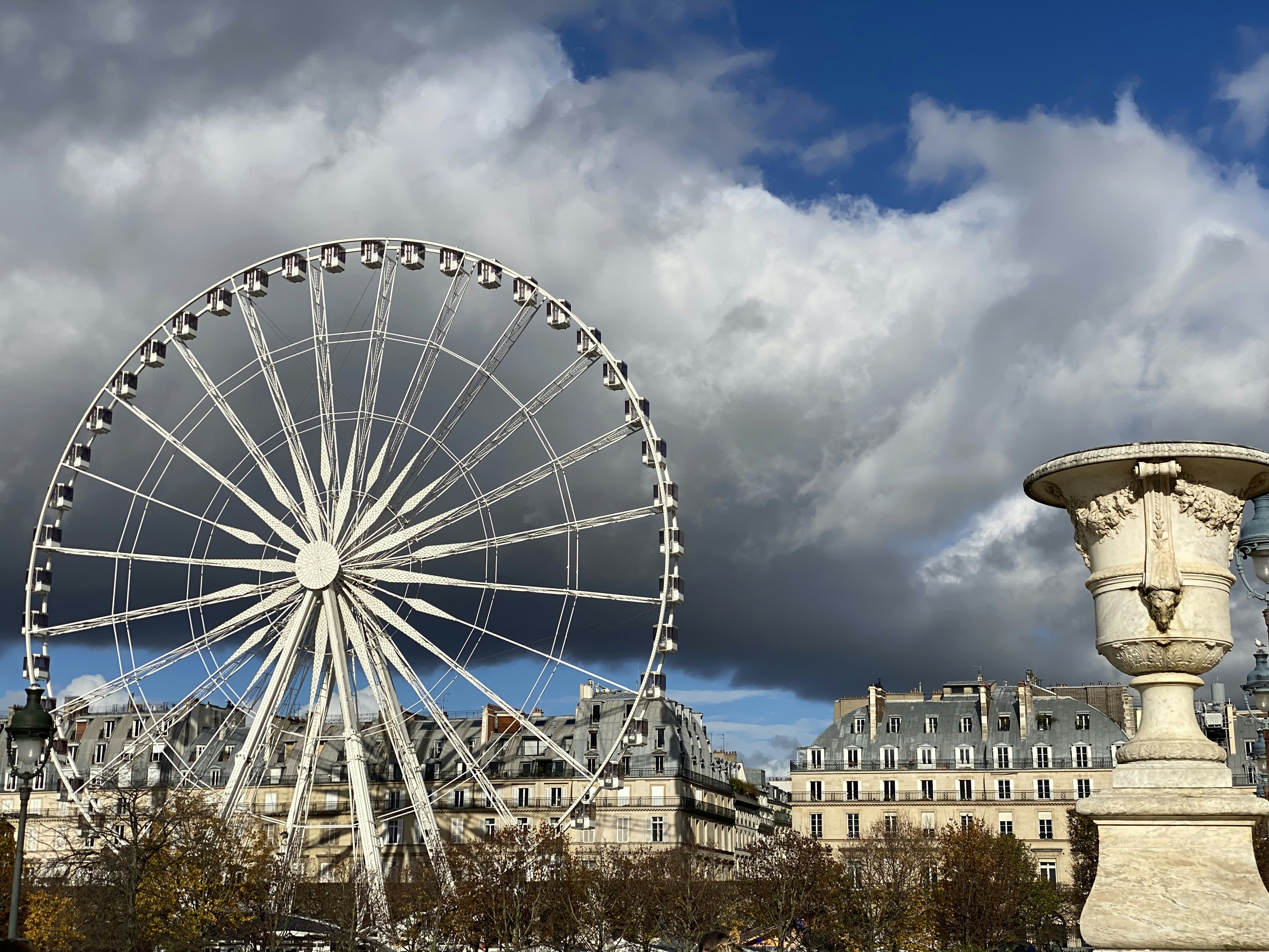 Ferris Wheel Over Parisian Rooftops: A Moment of Urban Symmetry