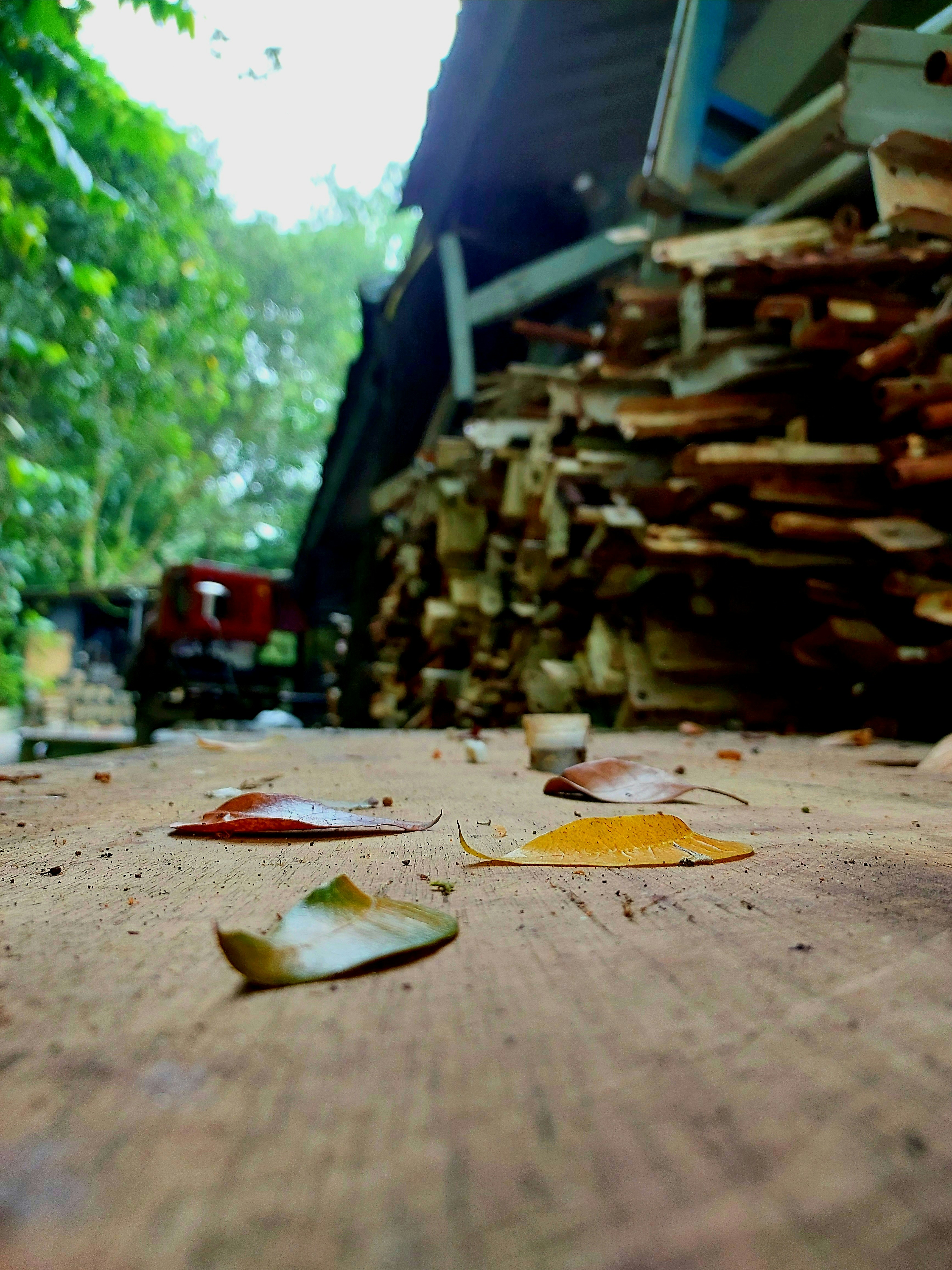 Close-up photograph of autumn leaves scattered on weathered wooden boards with a stacked lumber backdrop and shallow depth of field.