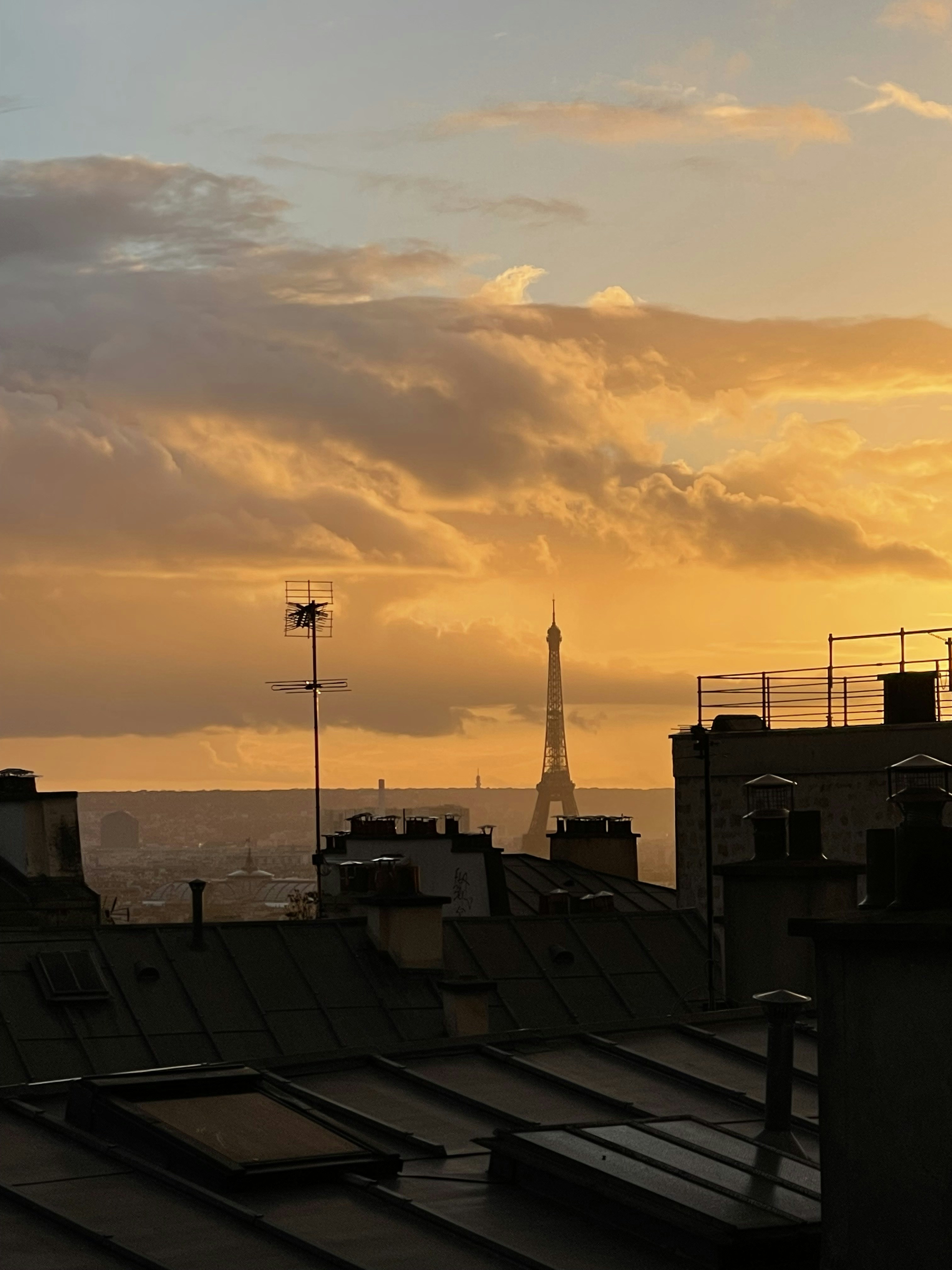 Parisian Rooftops at Golden Hour with the Eiffel Tower in Silhouette