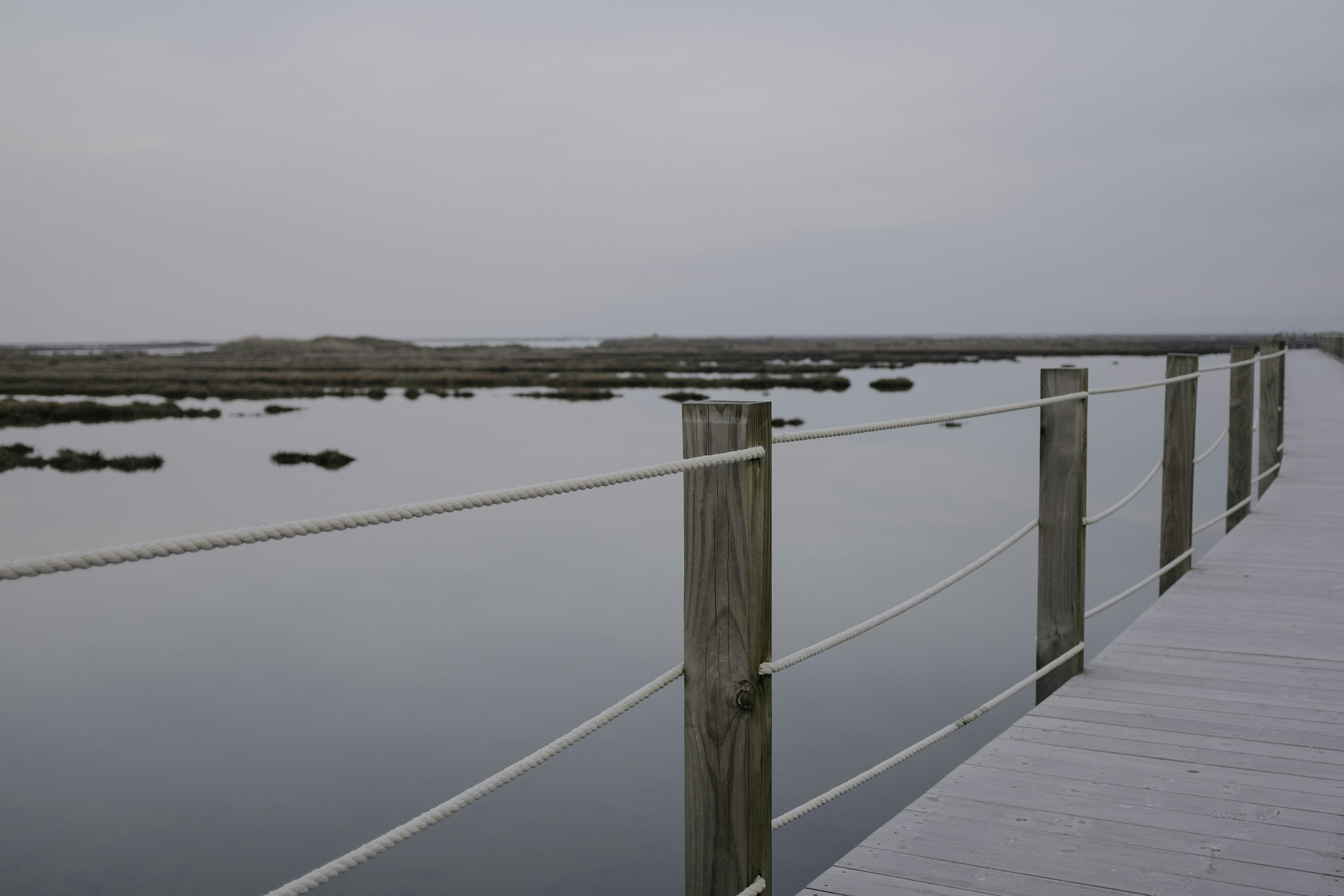 A wooden dock over water photo – Free Portugal Image on Unsplash