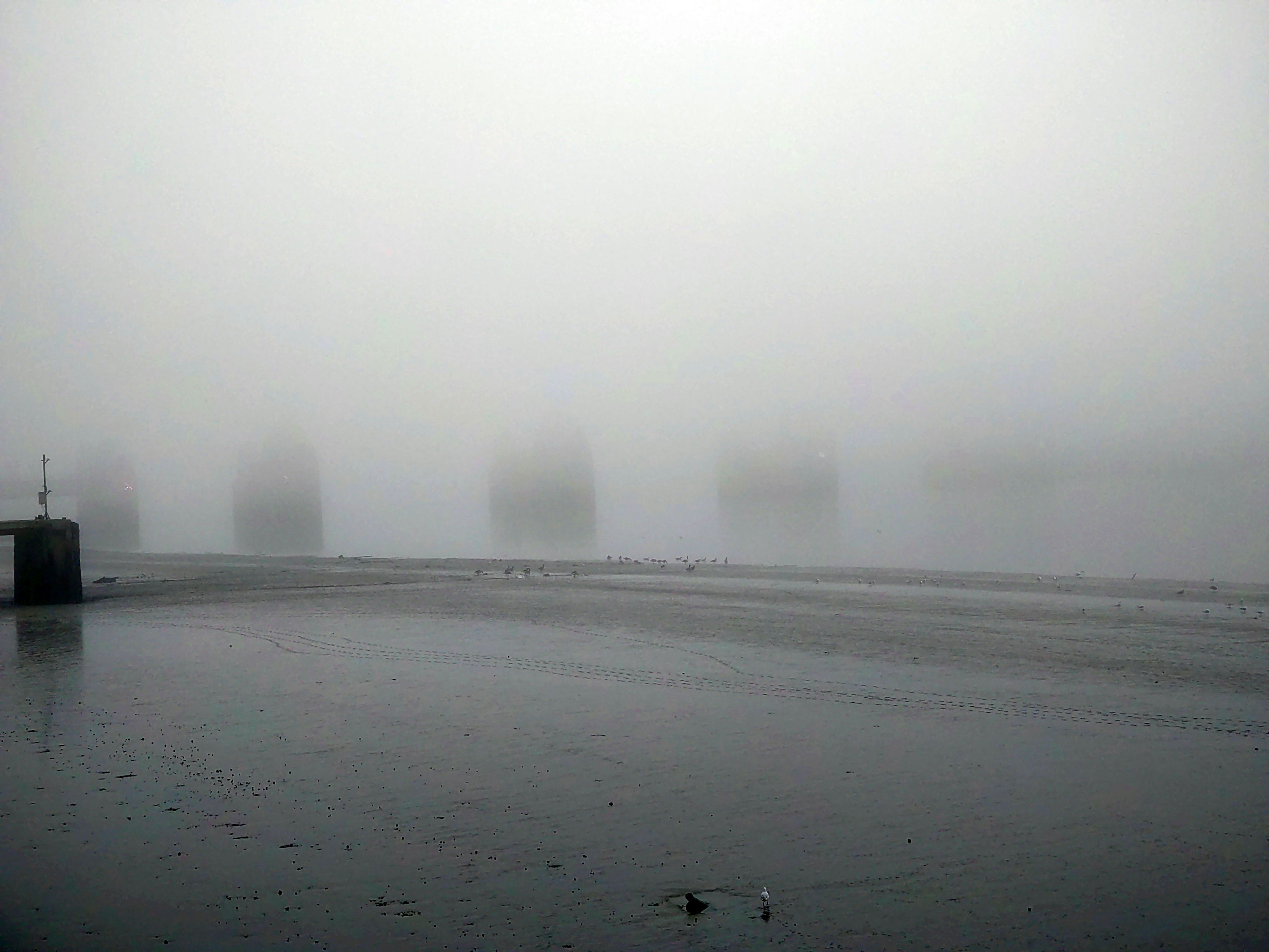 Photo by Raihan Kibria with Sony Xperia 10 III