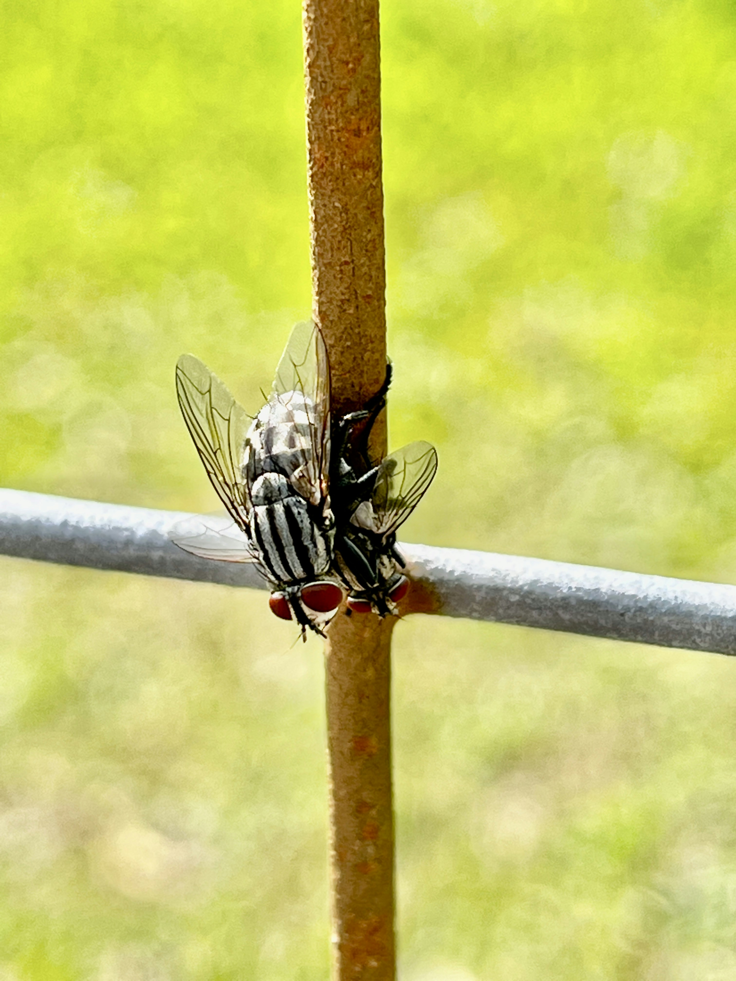 Photo by prime tambayong with Apple iPhone 13 mini