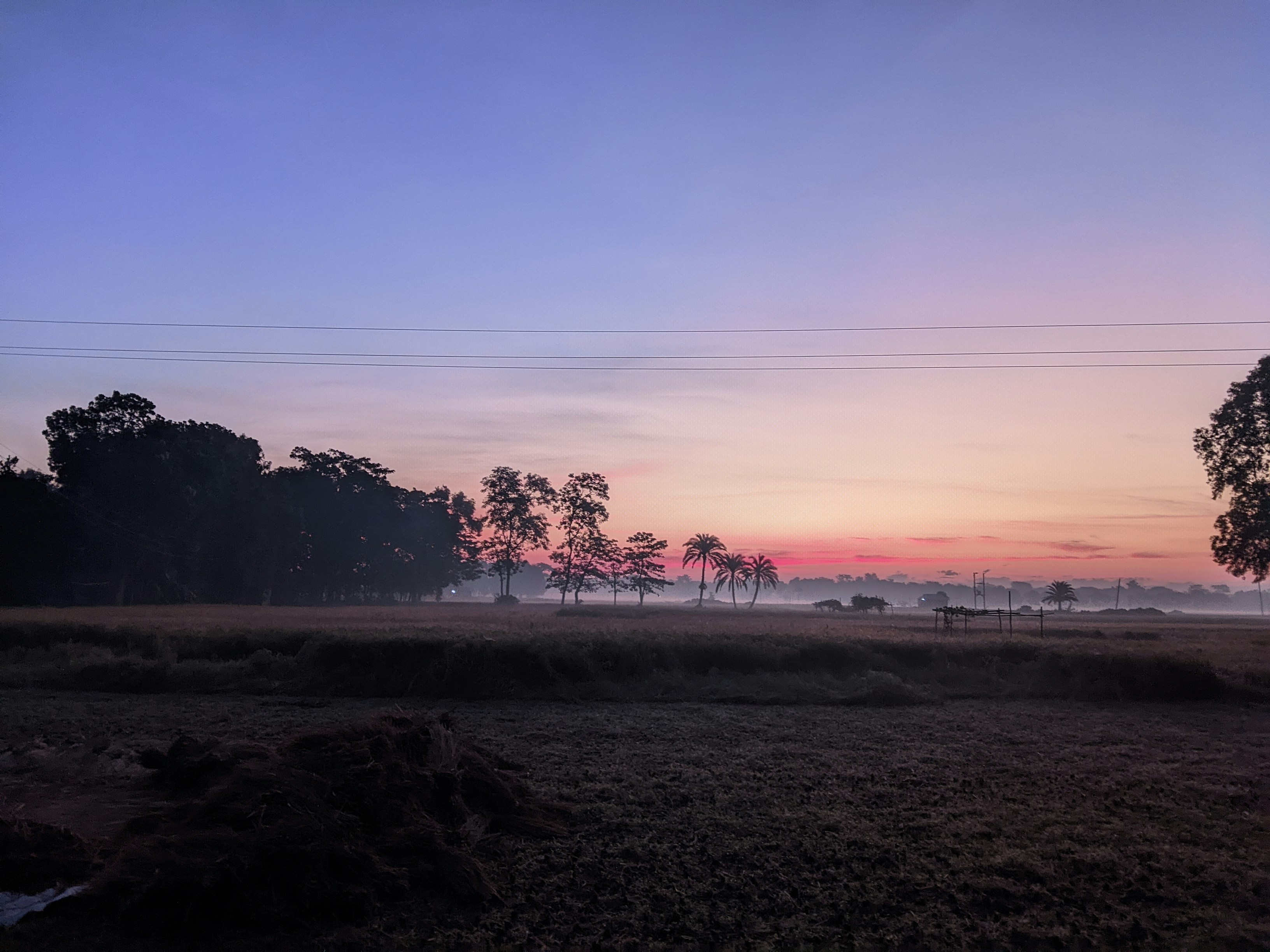 Misty landscape at dawn, featuring silhouettes of trees against a pastel sky. The tranquil scene captures the essence of rural life as the day begins.