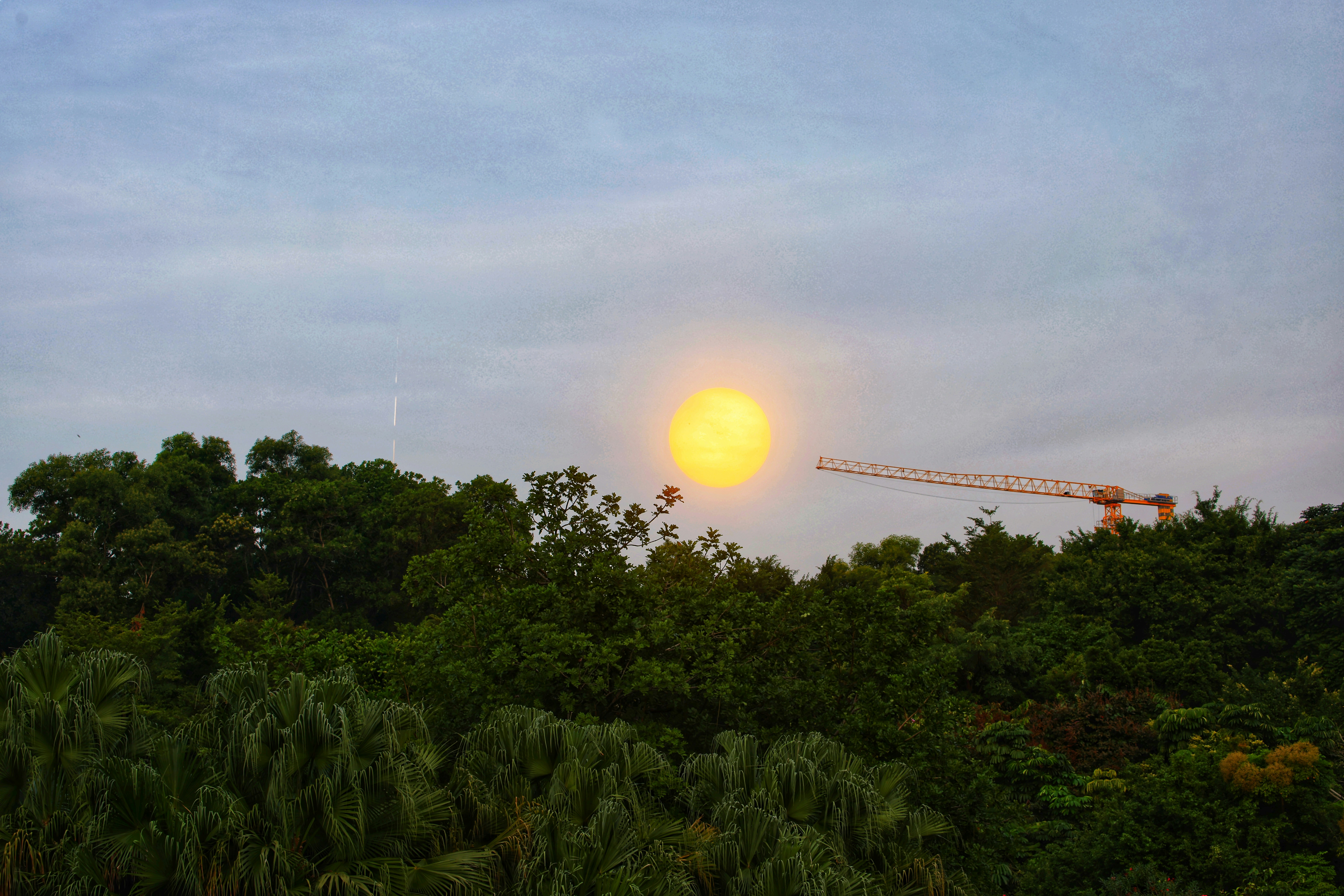 Photo by DL314 Lin with Canon EOS R5