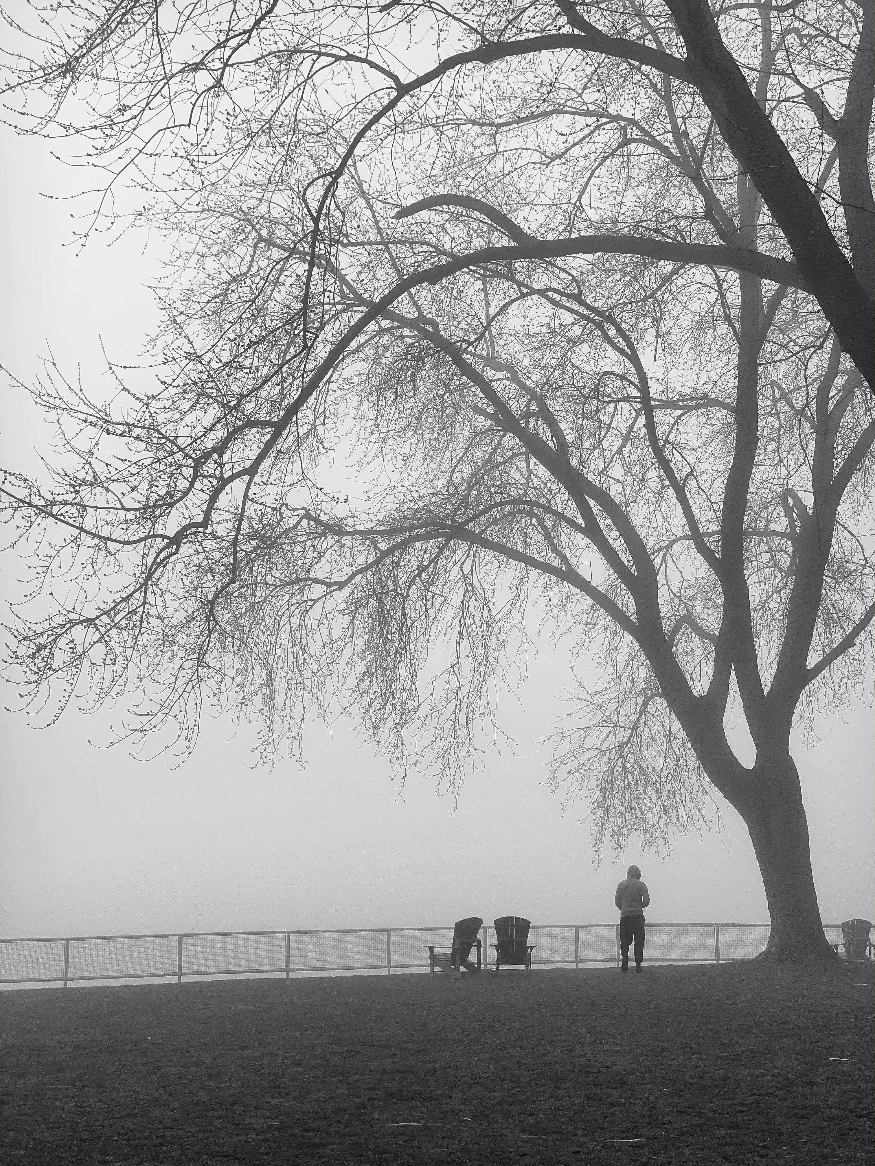 A group of people standing under a tree photo – Free Tree Image on Unsplash