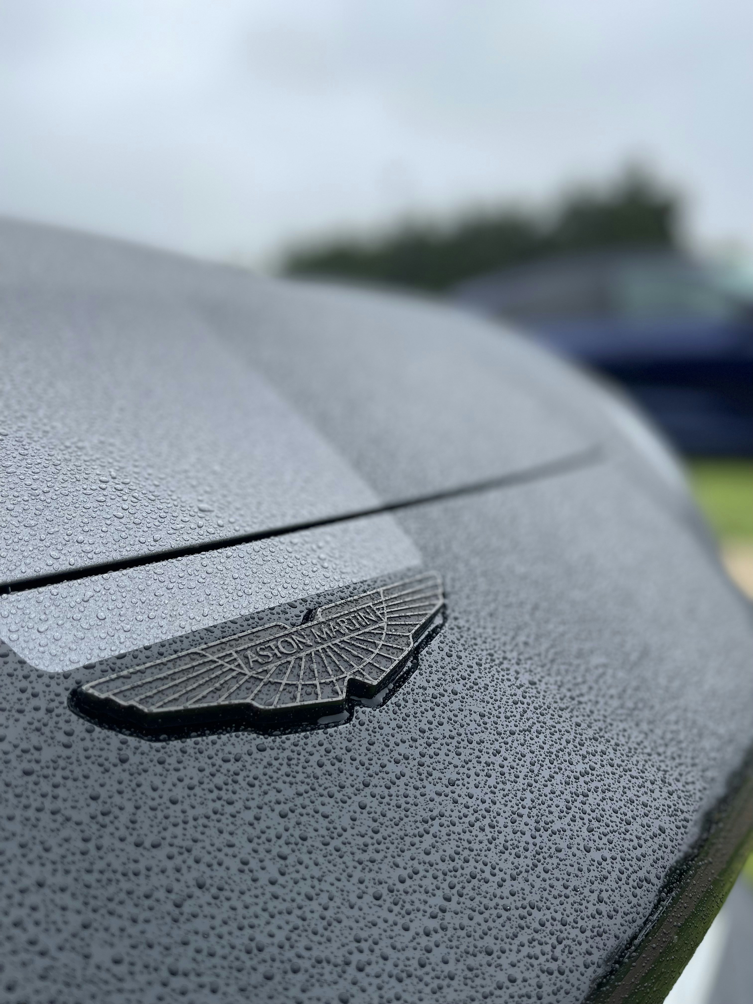 Dew-Kissed Emblem: Close-Up on a Dew-Covered Aston Martin Hood