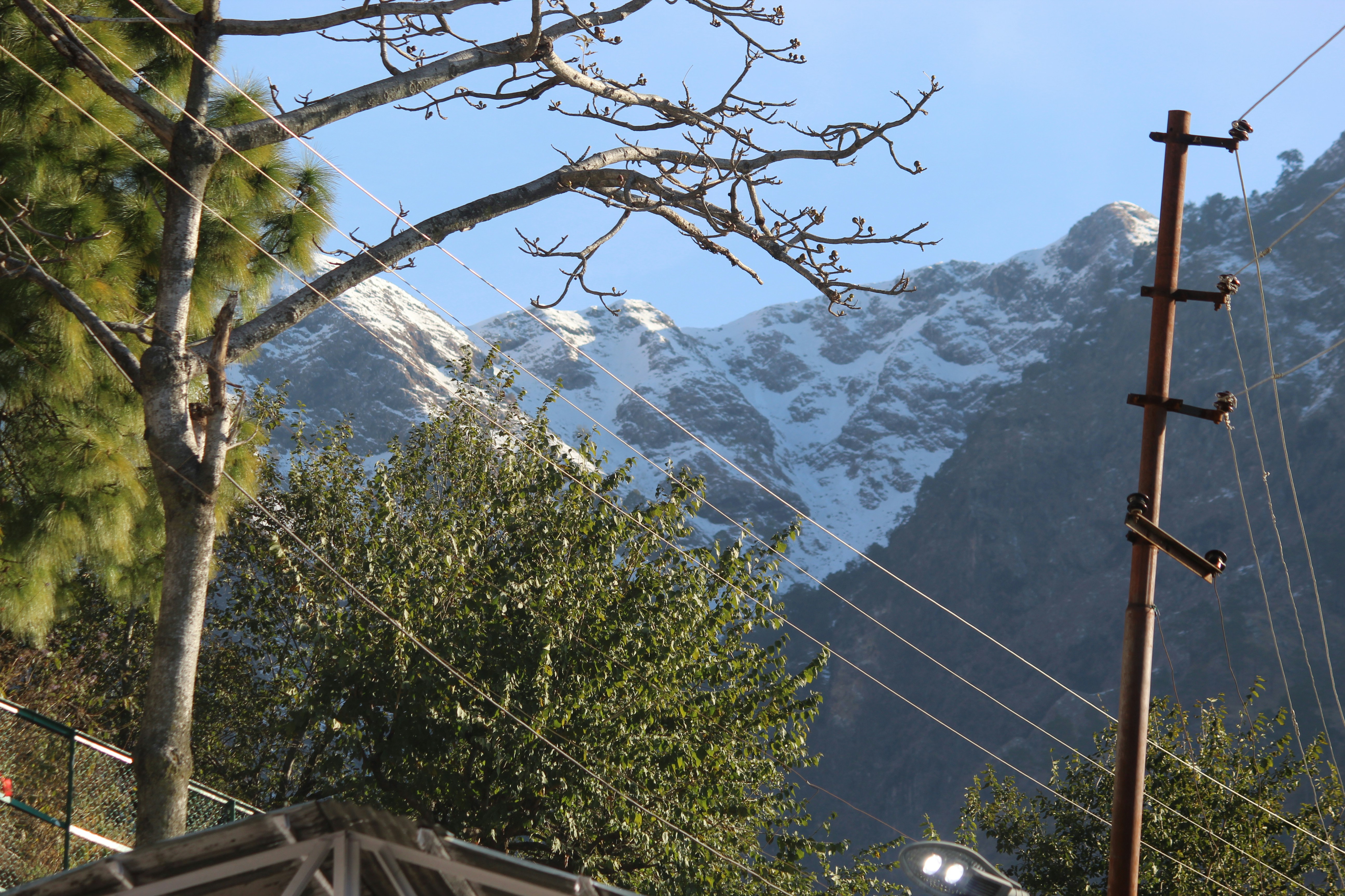 Landscape showing flora & mountains in Kashmir (India)