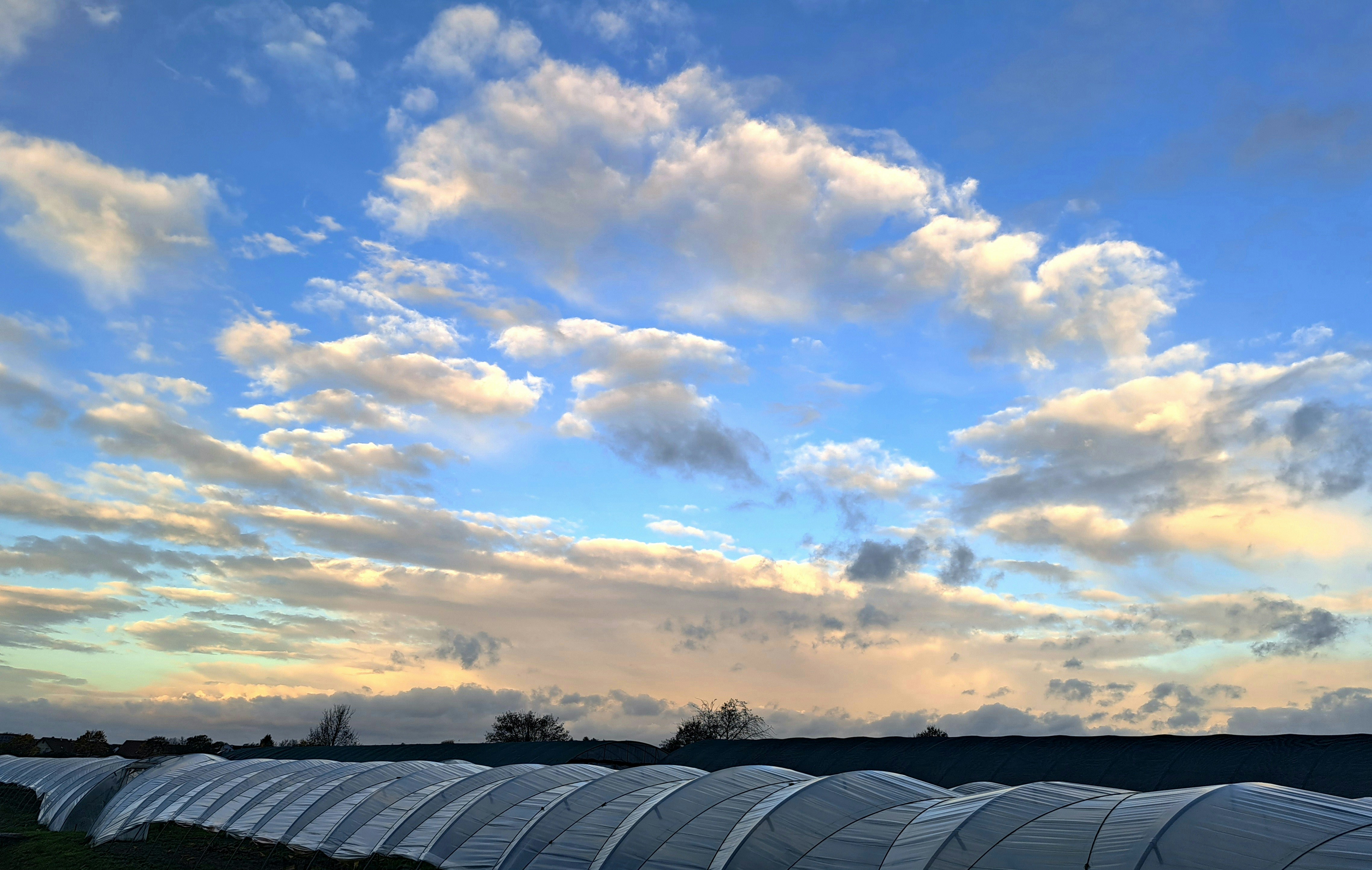 Photo by Michael Schreiber with Samsung Galaxy A53