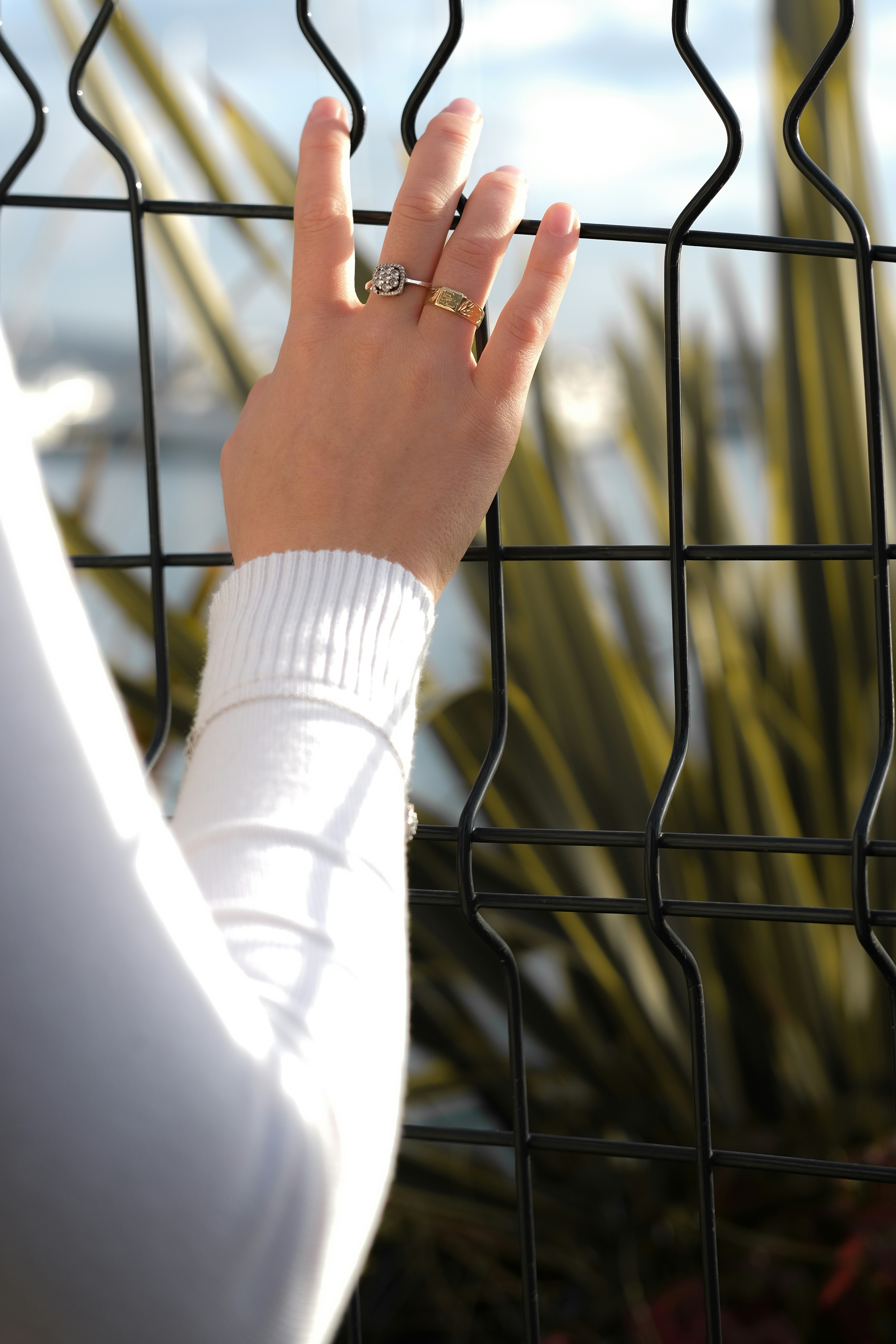 A woman's hand with a ring on her finger photo – Free Finger Image on ...