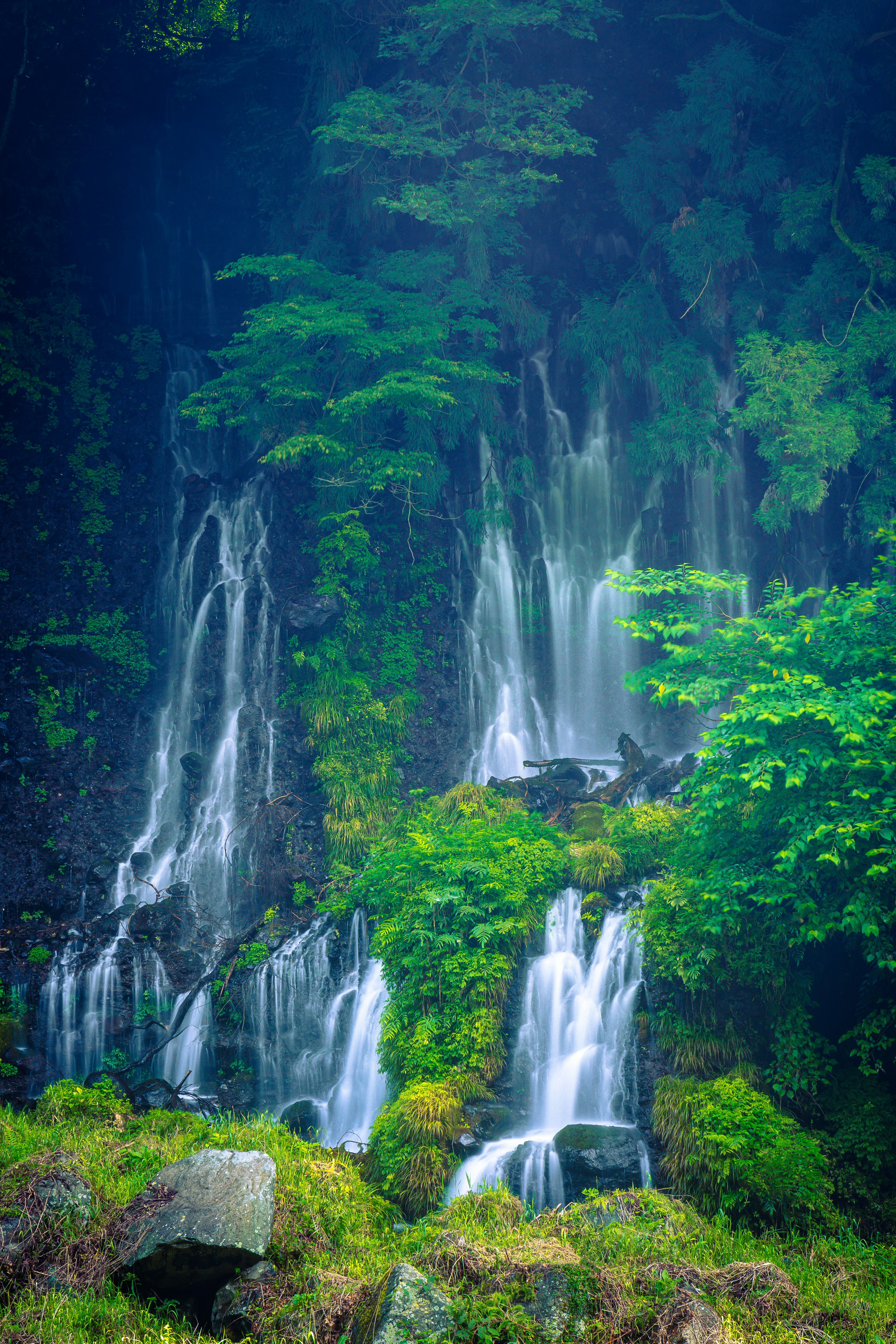 A waterfall in a forest photo – Free Nature Image on Unsplash