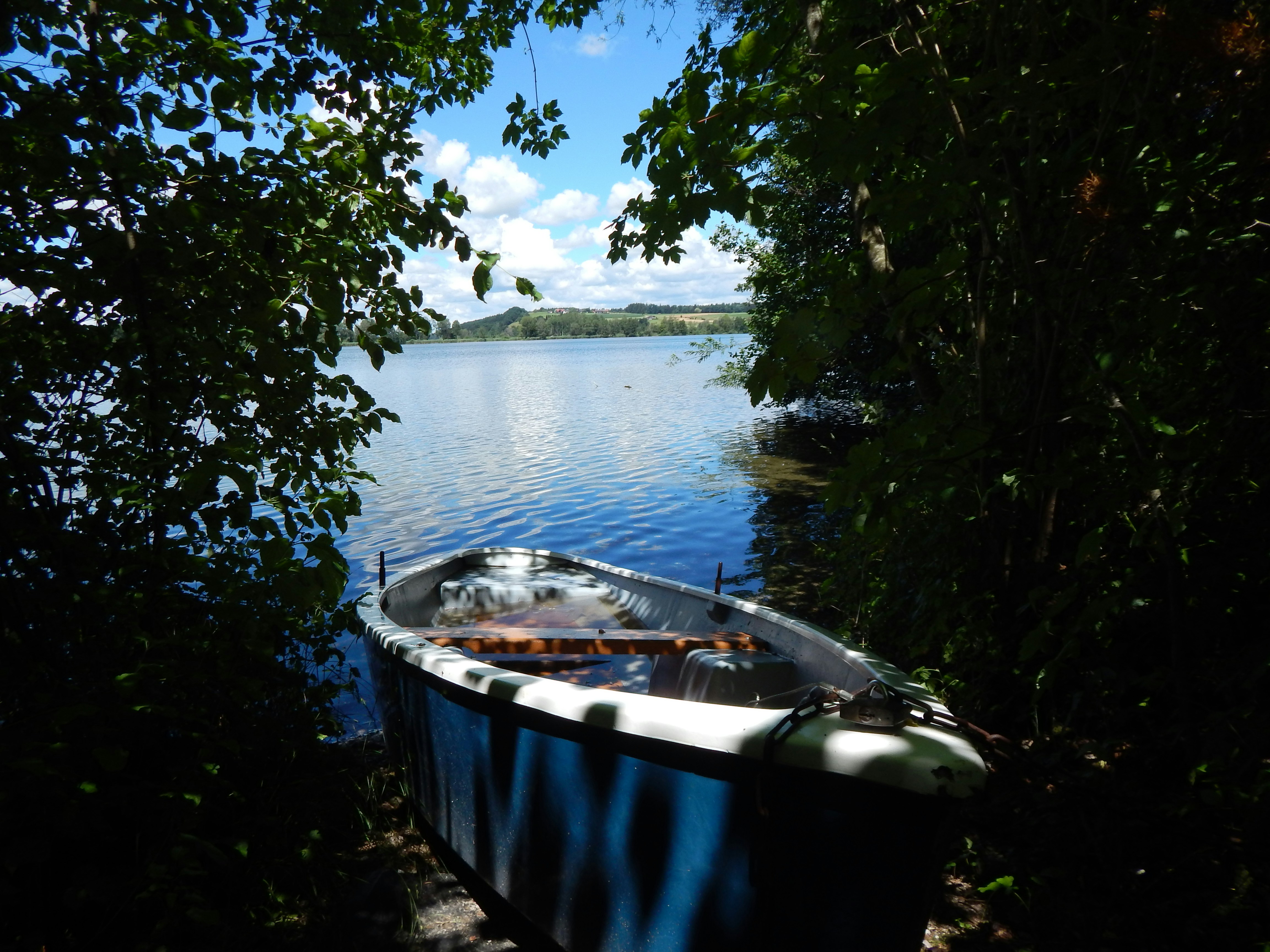 Forest-Framed Skiff at a Quiet Lakeside