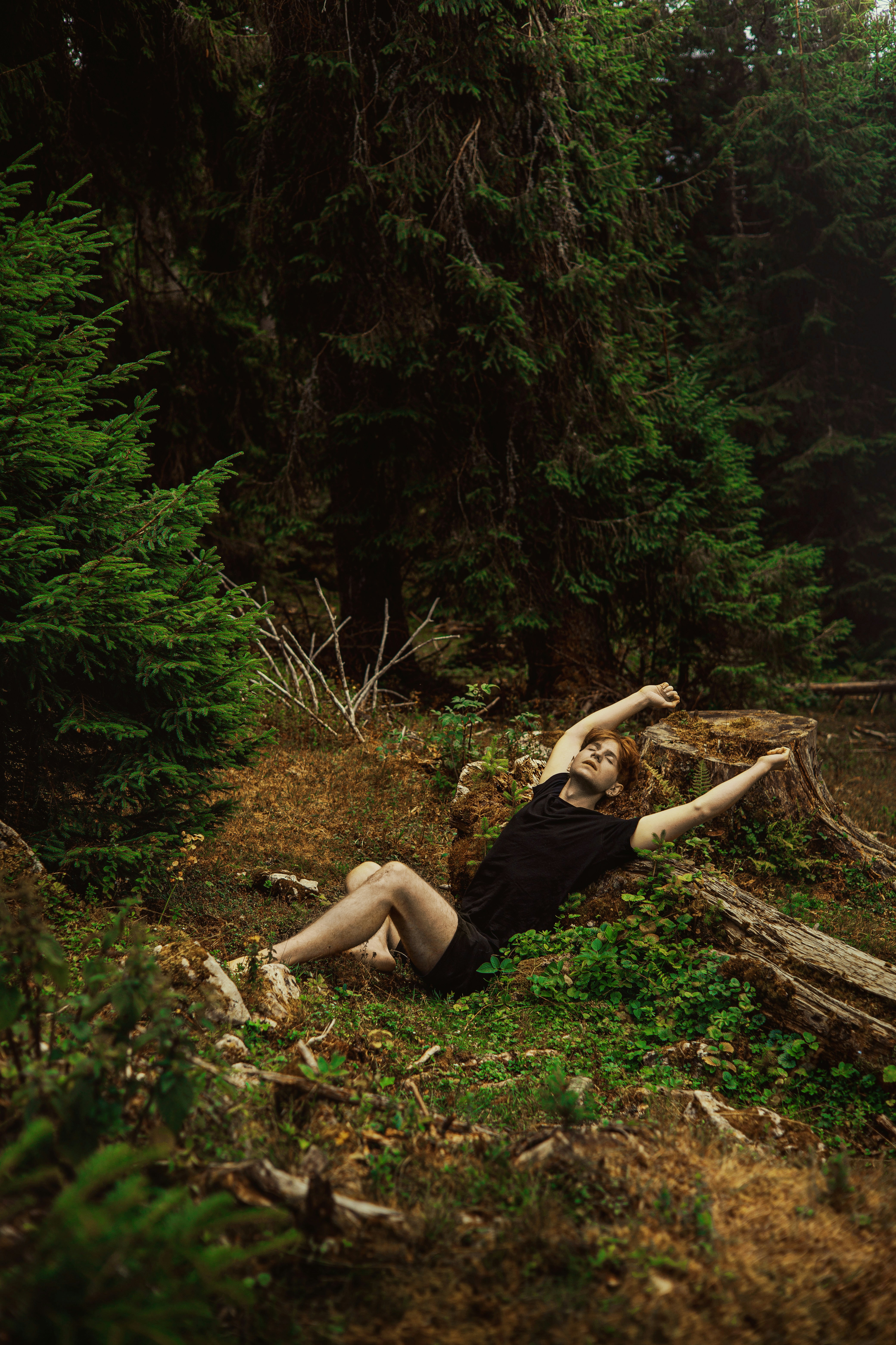 Quiet Repose Among Pine and Moss
