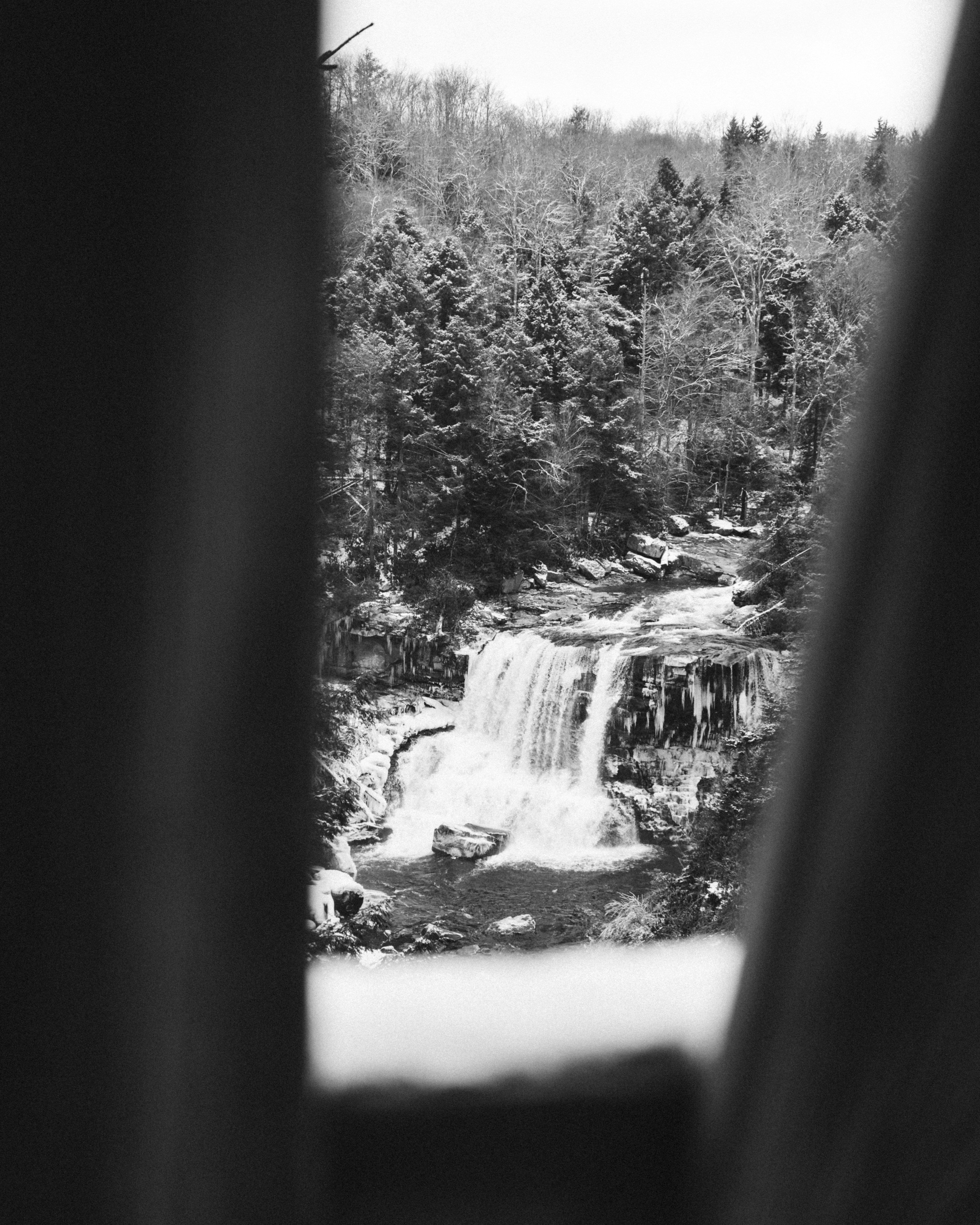 Photo by Jason Hawke 🇨🇦 with Sony Alpha 7 III