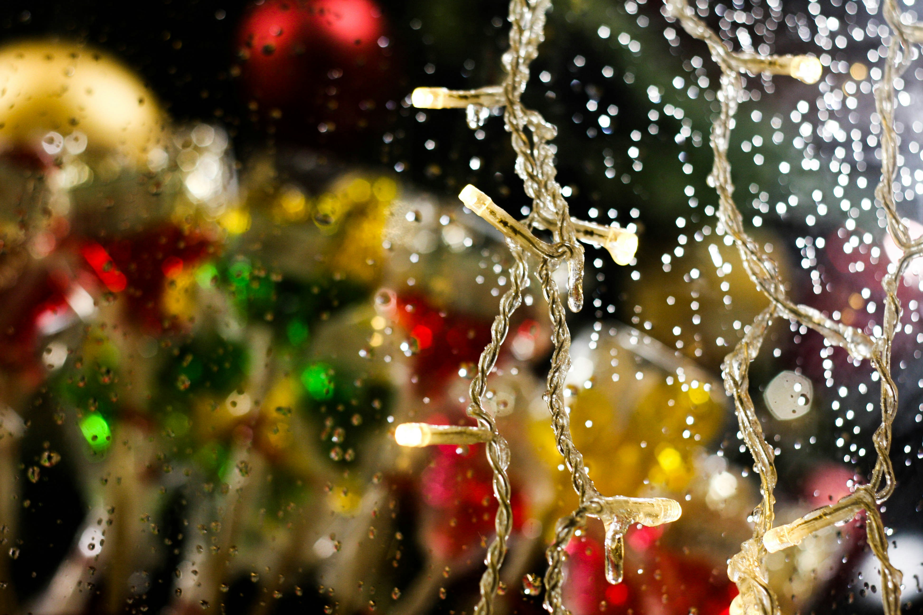 Twinkles Behind a Glass Veil: Close-Up of Christmas Fairy Lights