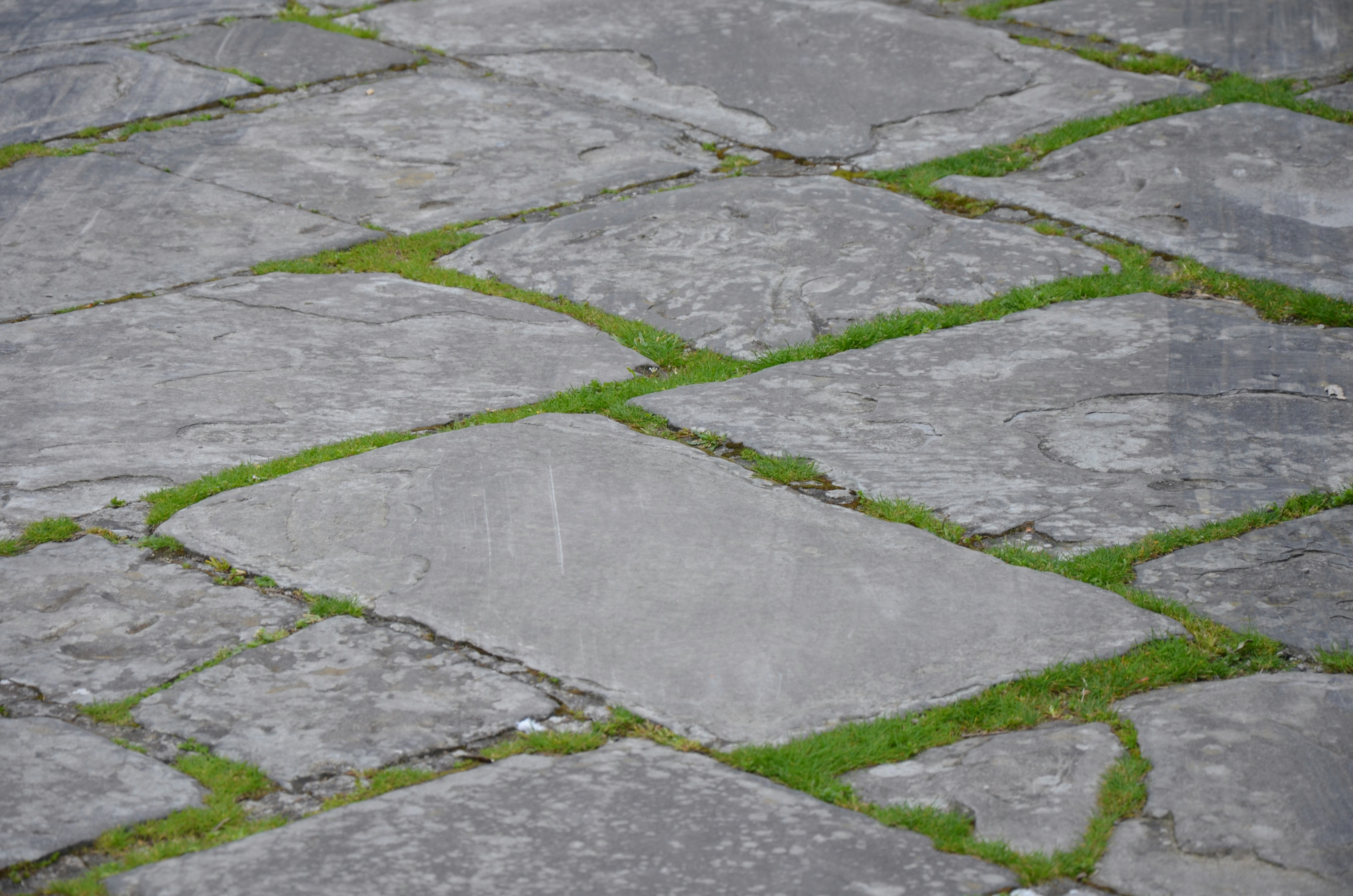 grey paverment with grass