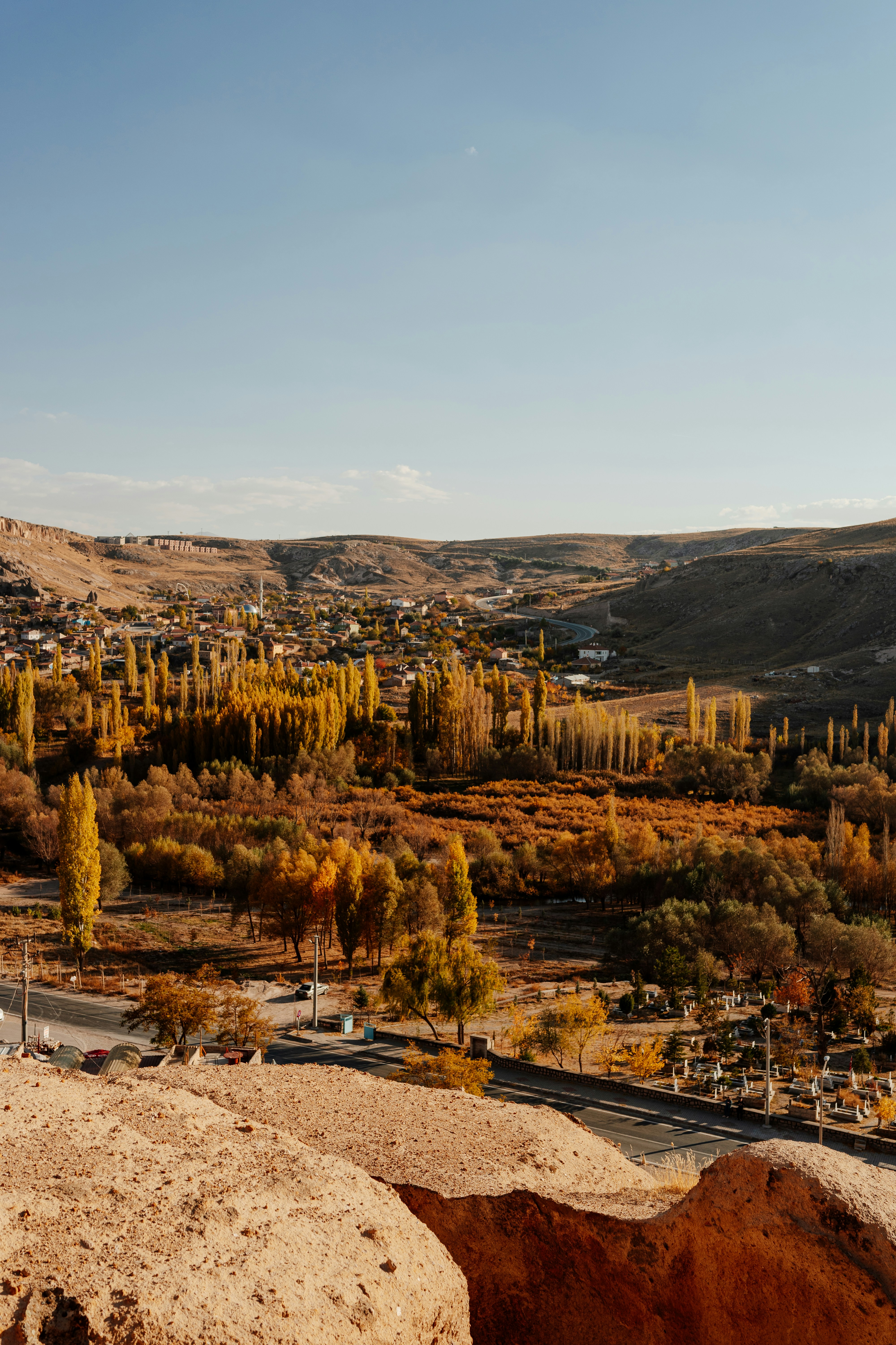 Un paysage avec des arbres et des collines photo – Photo Dinde Gratuite ...