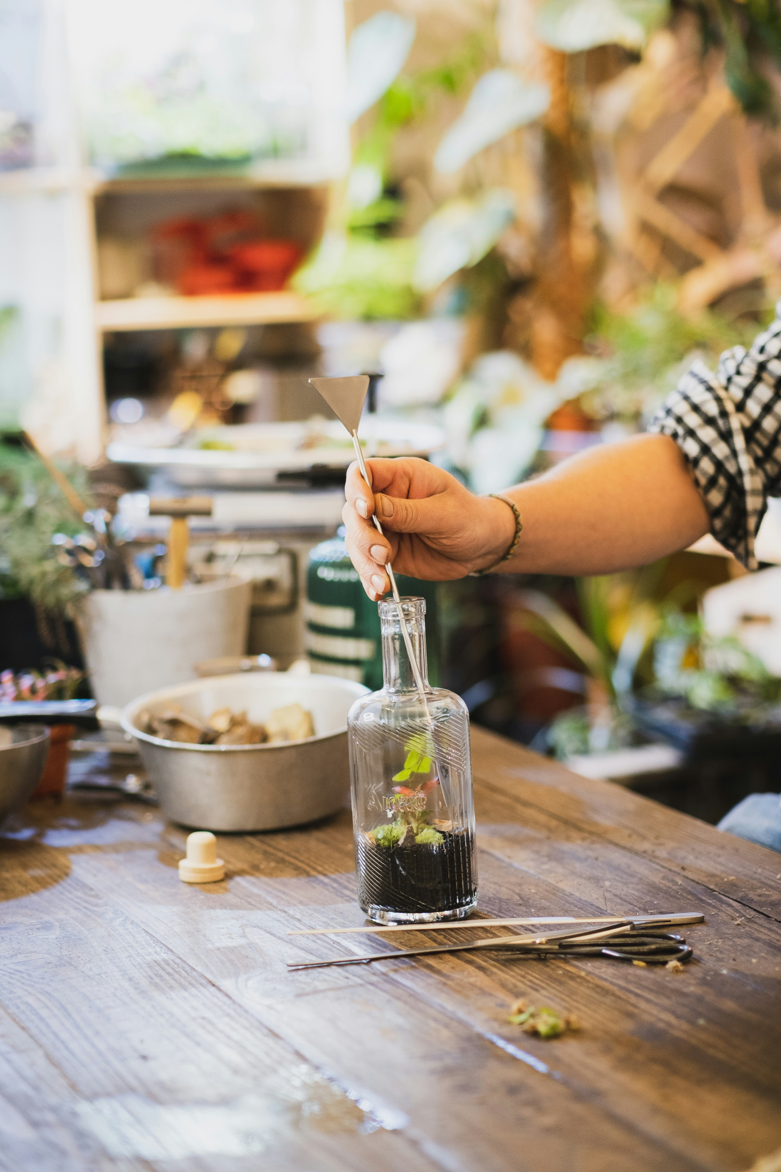 Hands at Work: Crafting a Miniature Garden in a Glass Bottle