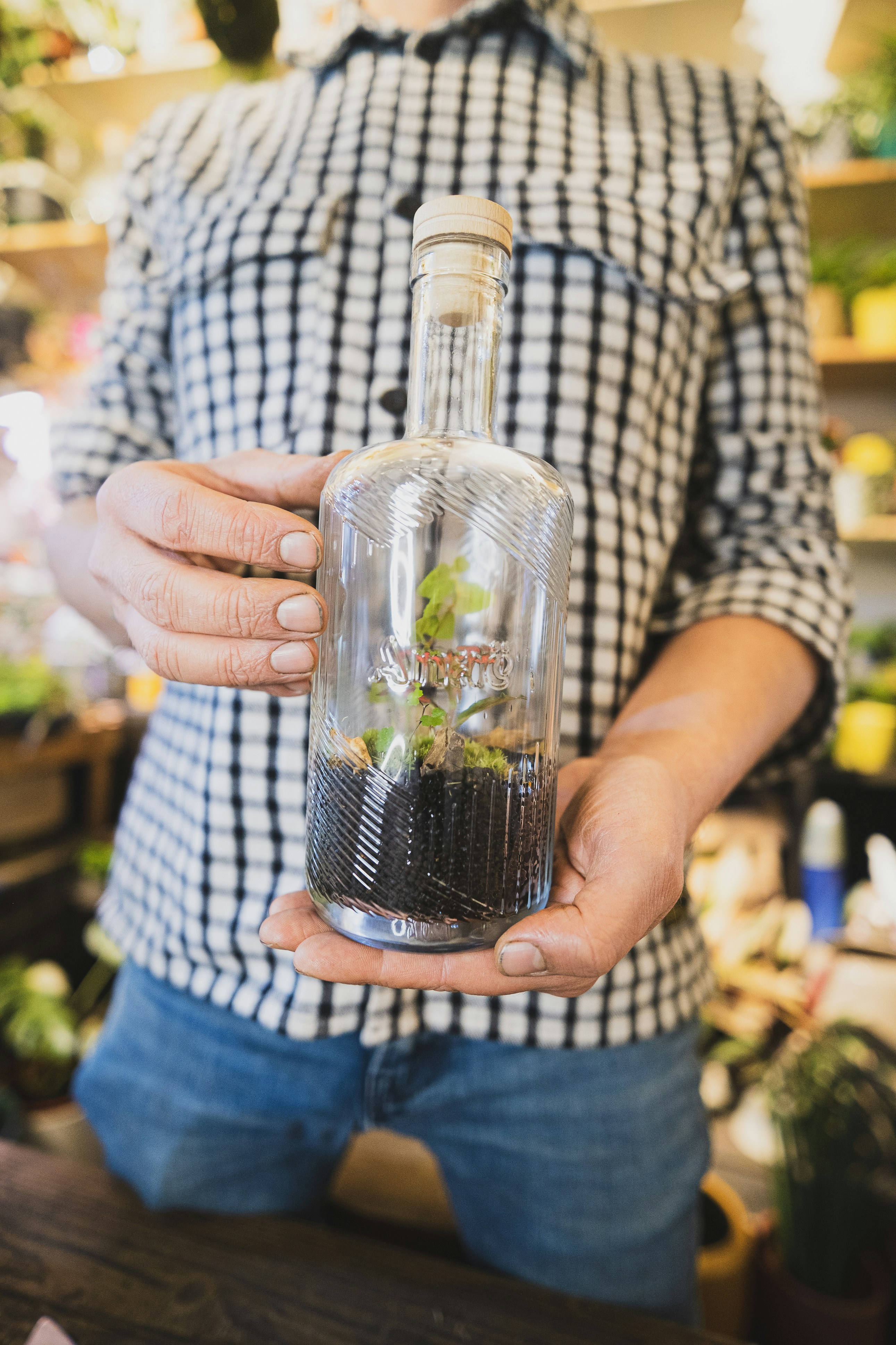 Sprout in Glass: A Quiet Handful in a Cozy Plant Store