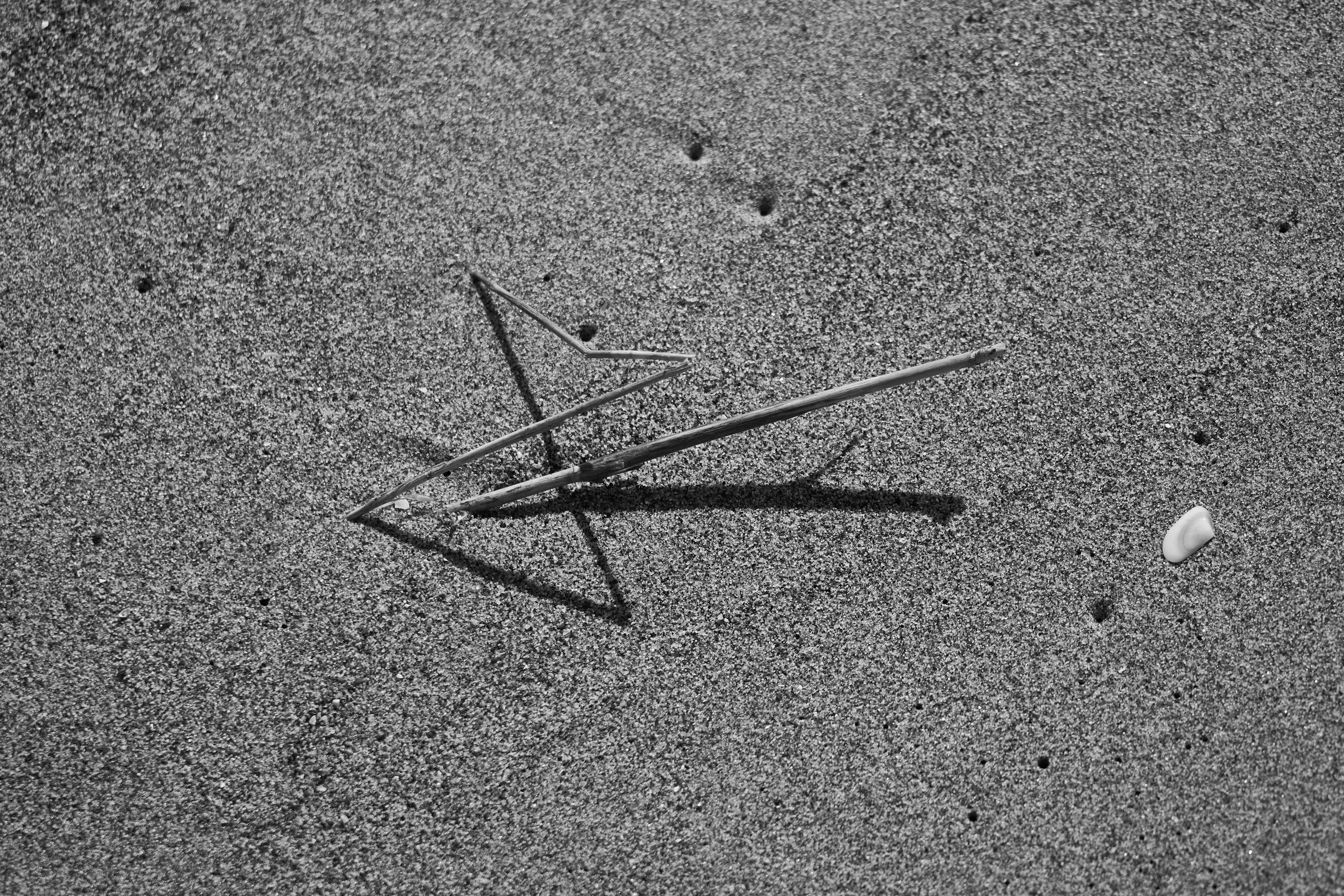 Ghost of Geometry on Grainy Sand