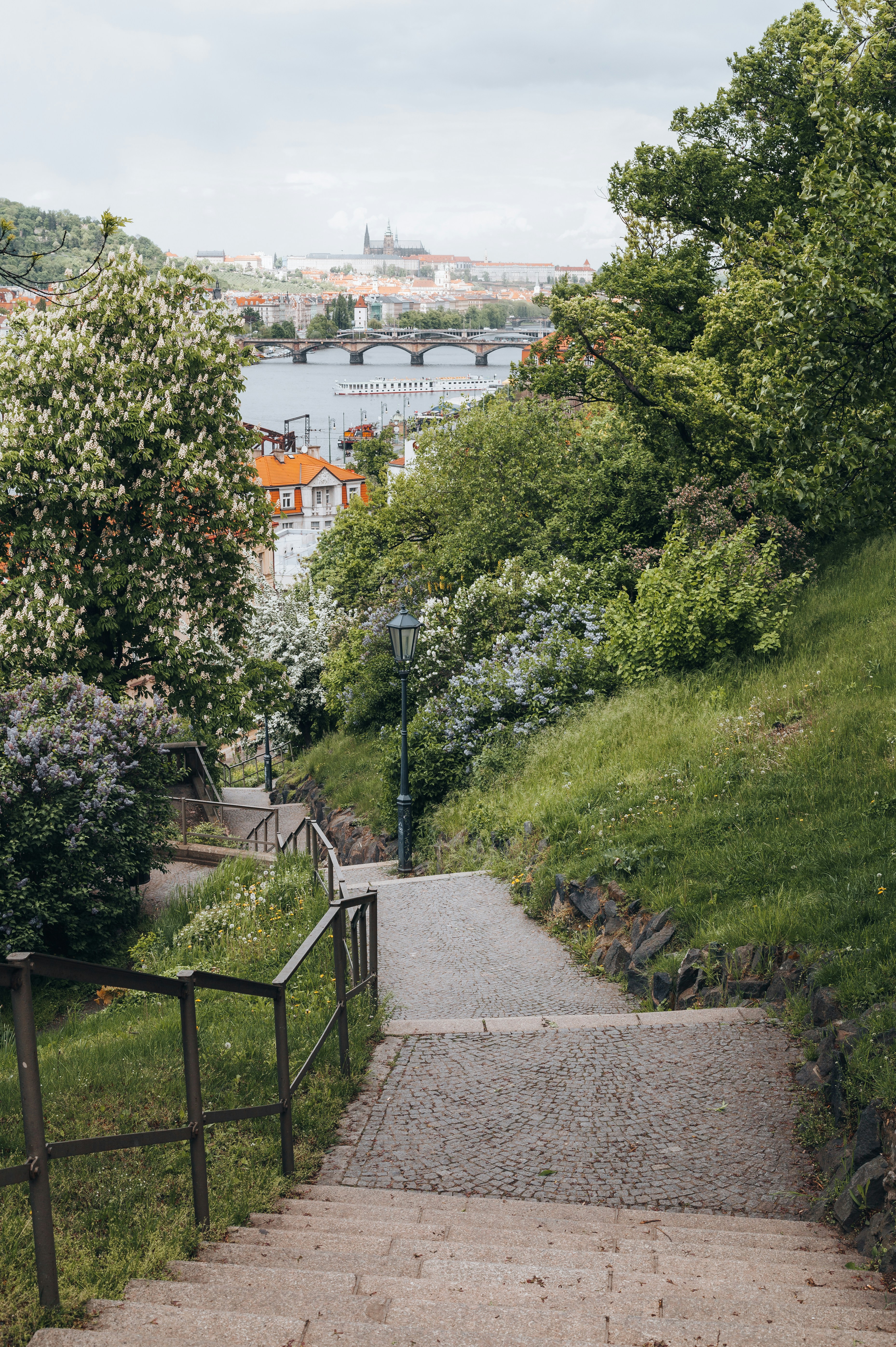 Staircase to the Riverside Vista: Blossoms, Stone Steps, and a Distant Skyline