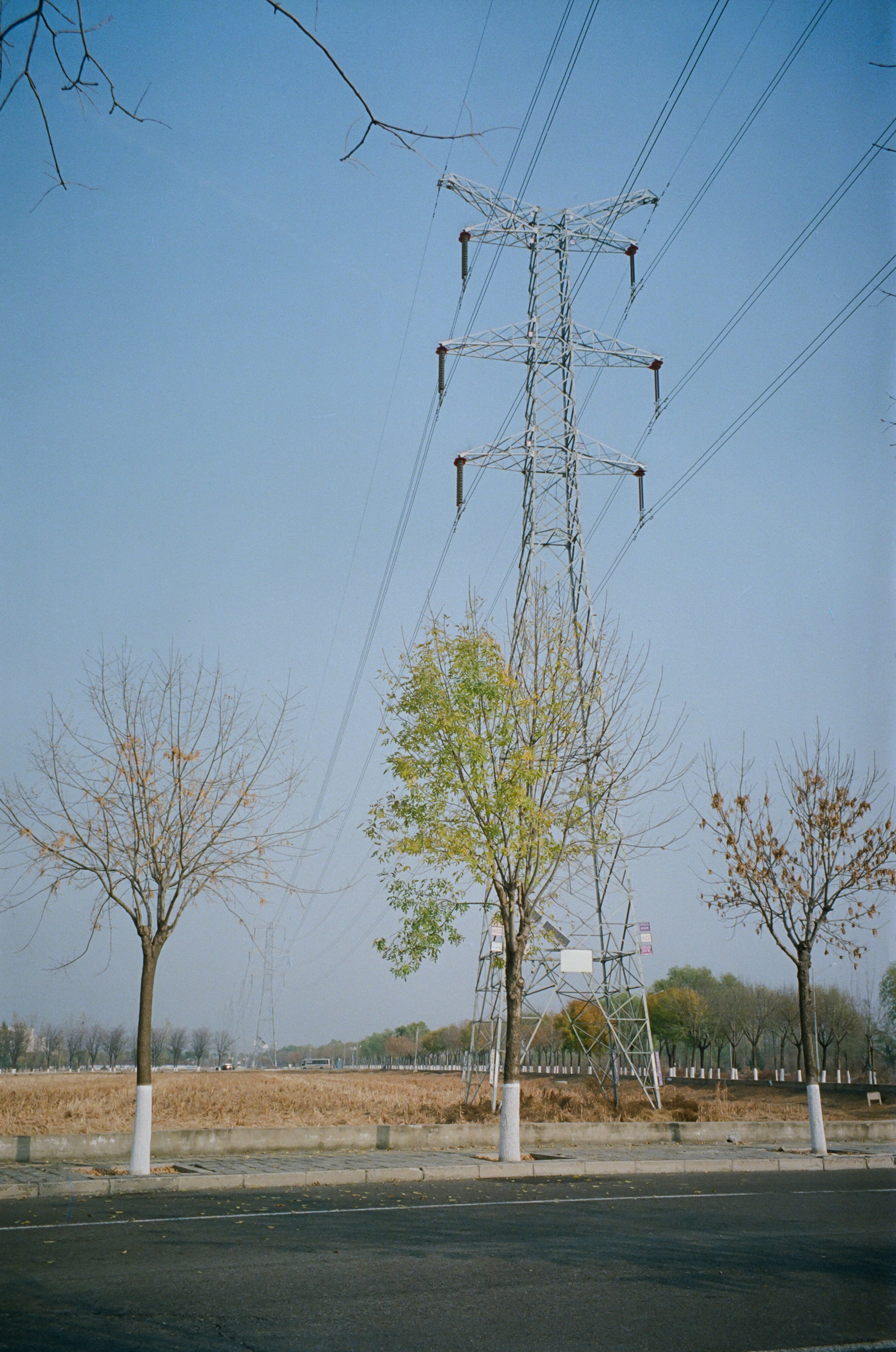 Leafless trees line the roadside, juxtaposed with a towering power line structure against a clear blue sky.