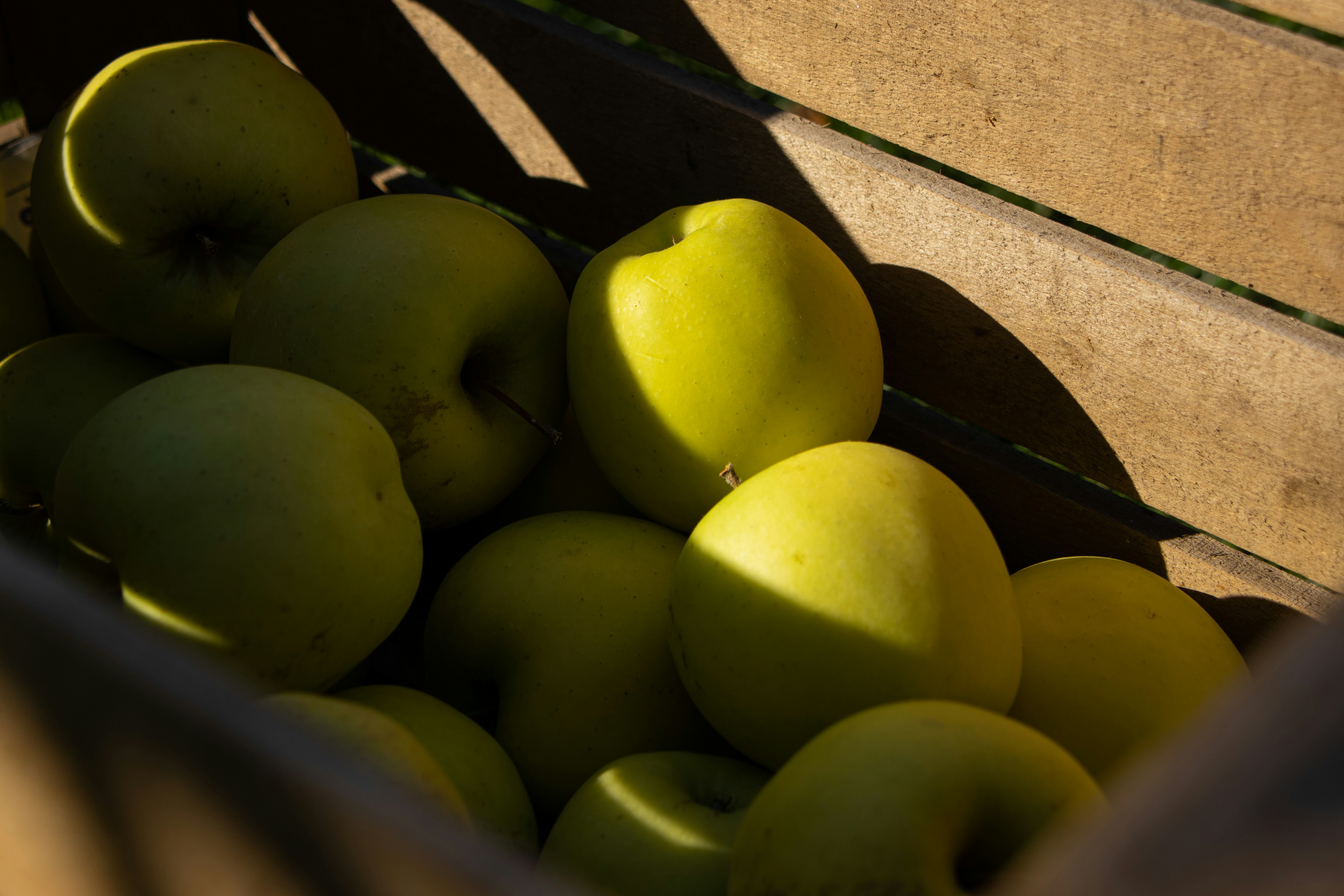 Photo by Asia Lascioli with Canon EOS M50 Mark II