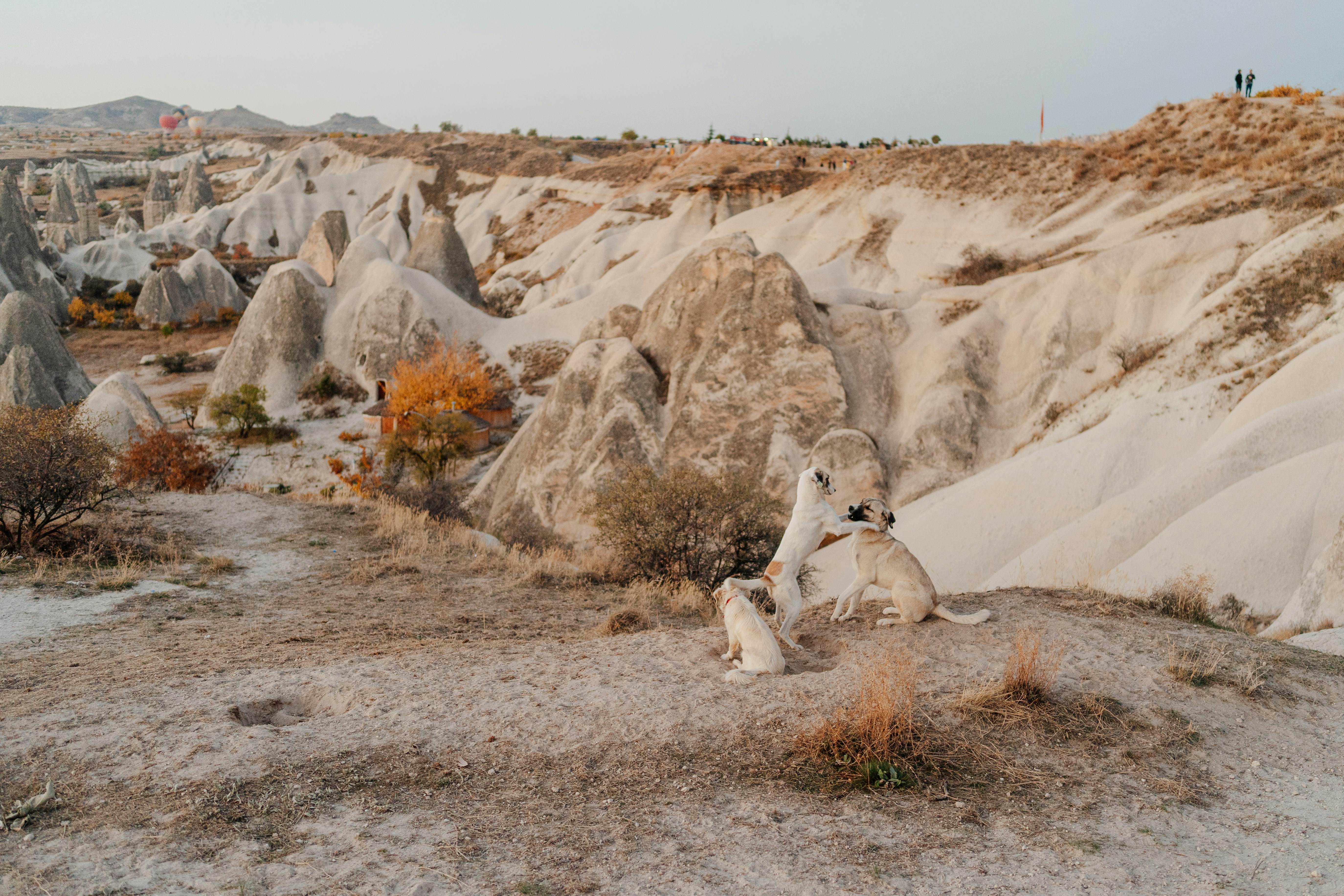 Cappadocia. Goreme, Nevsehir, Turkiye, November 2022.