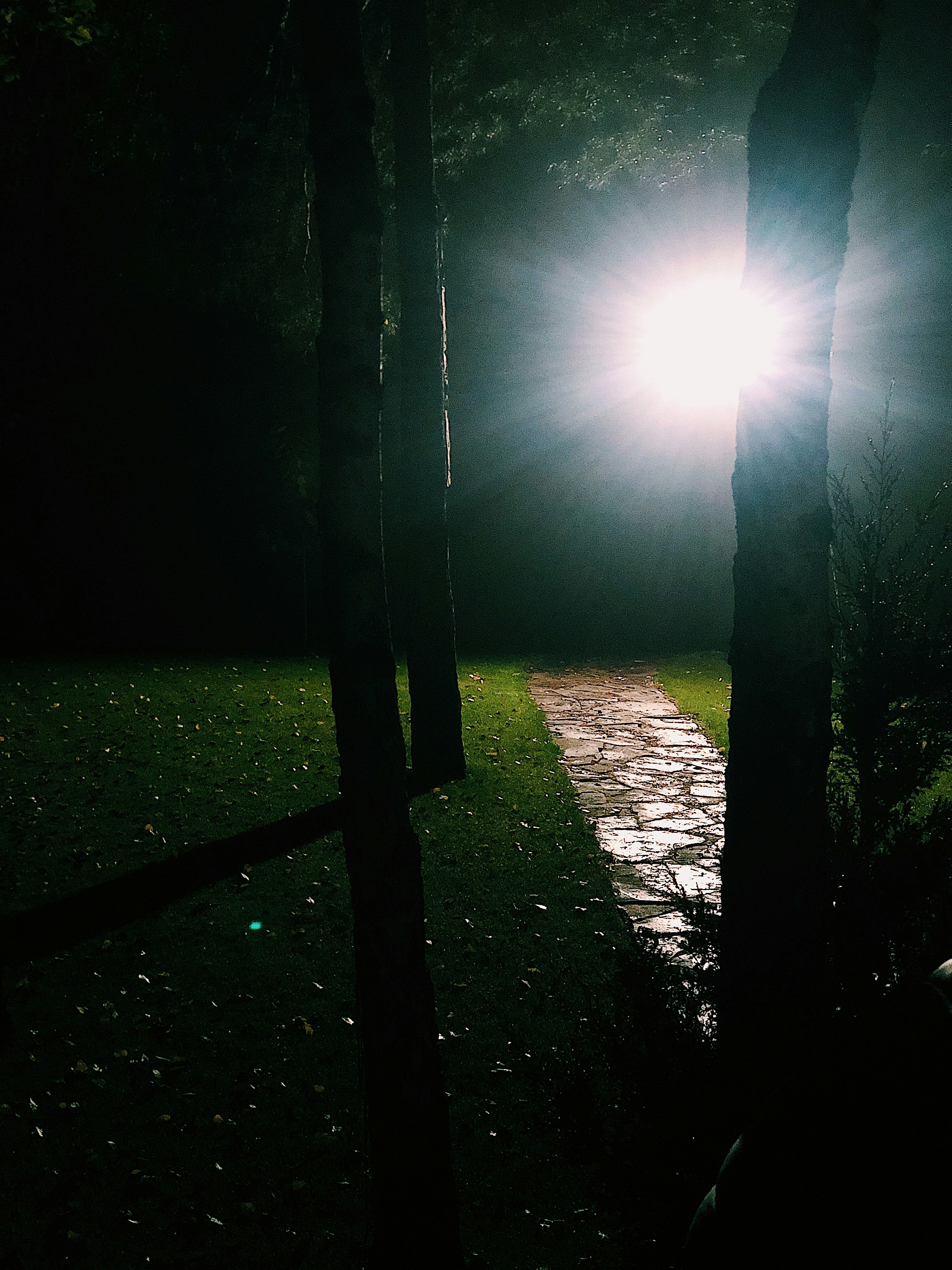 Sunburst Through a Narrow Woodland Path