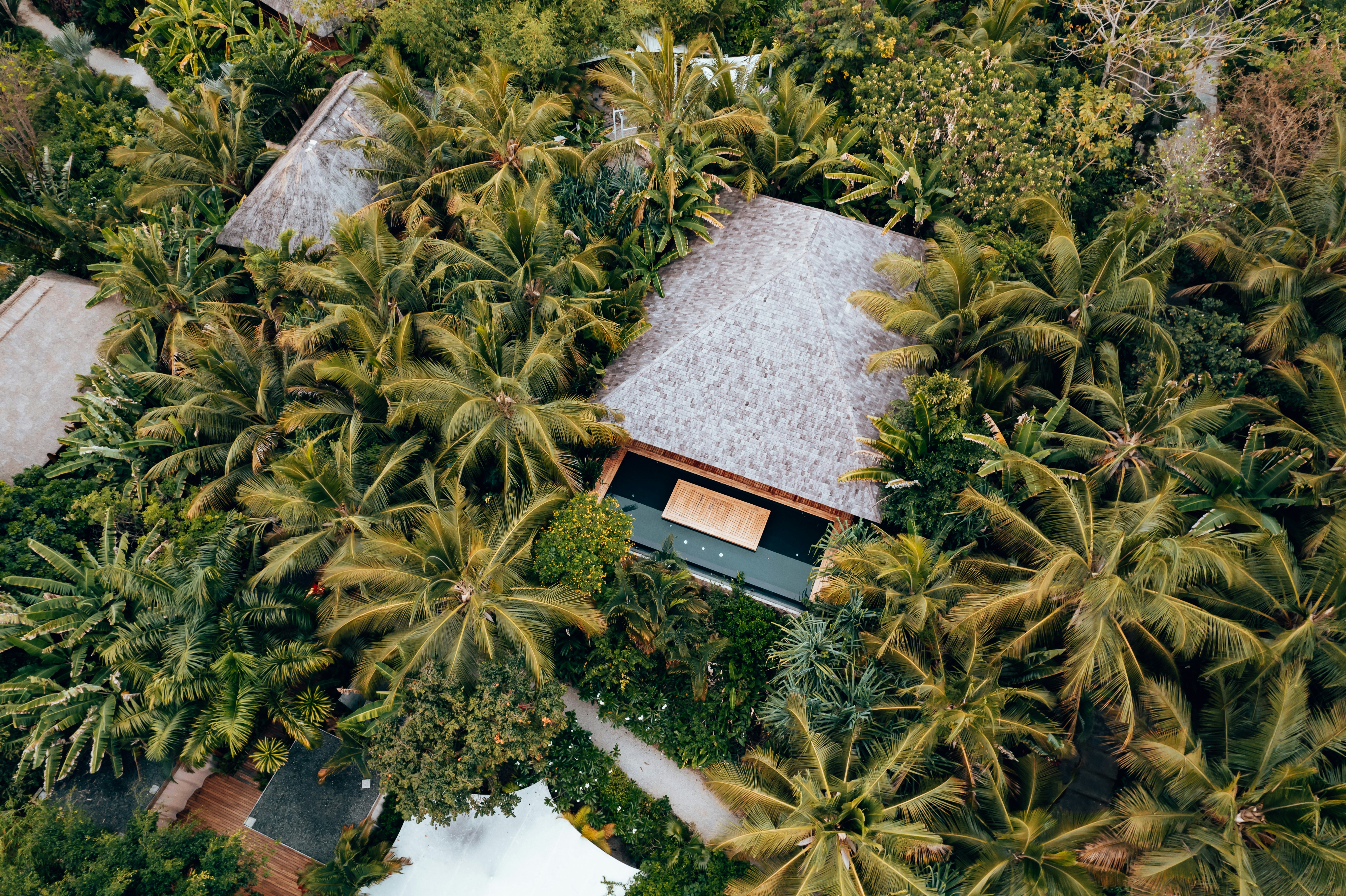 A house surrounded by trees photo – Free Zanzibar Image on Unsplash