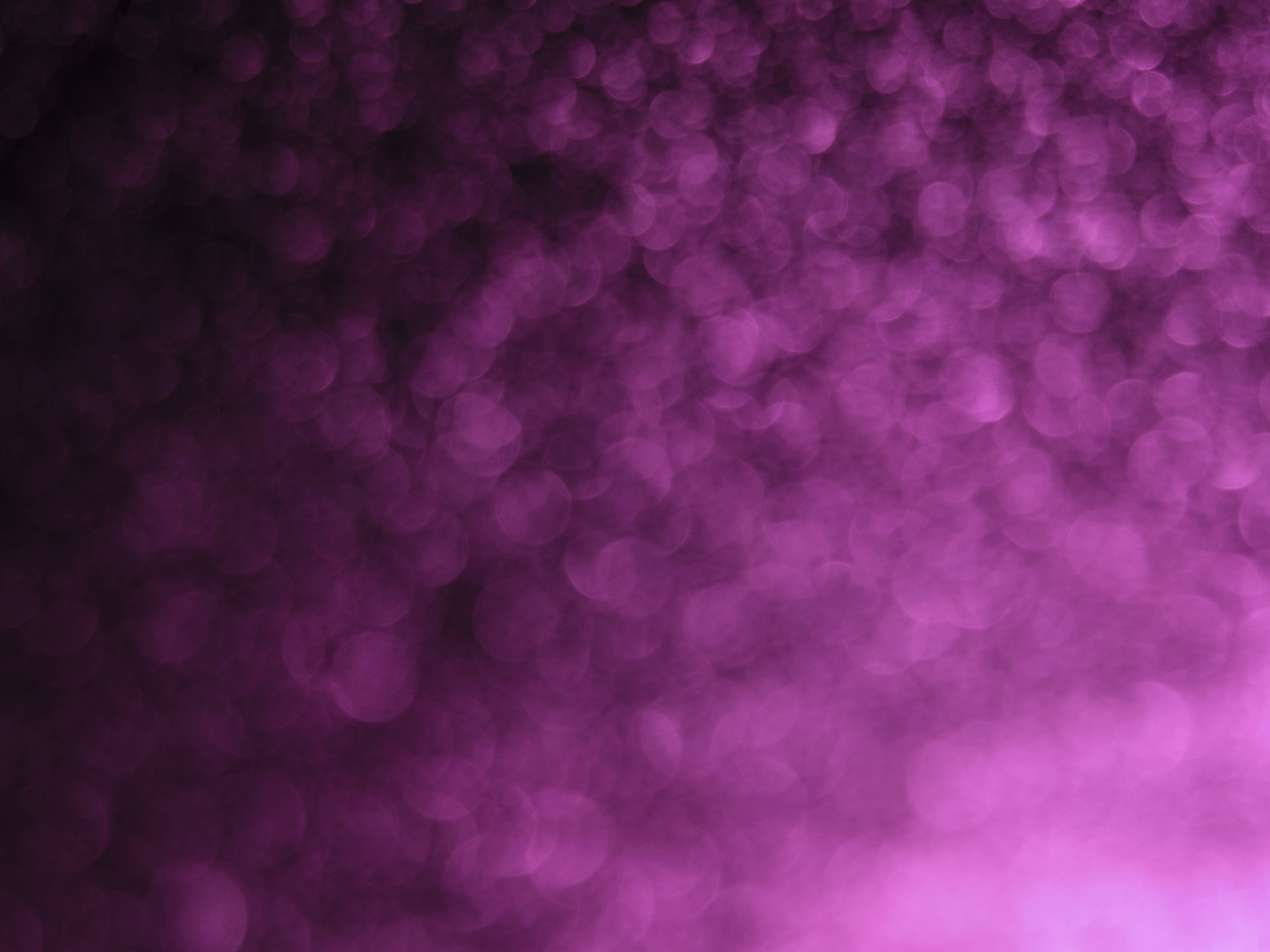 Velvet Purple Bokeh: A Field of Soft Orbs