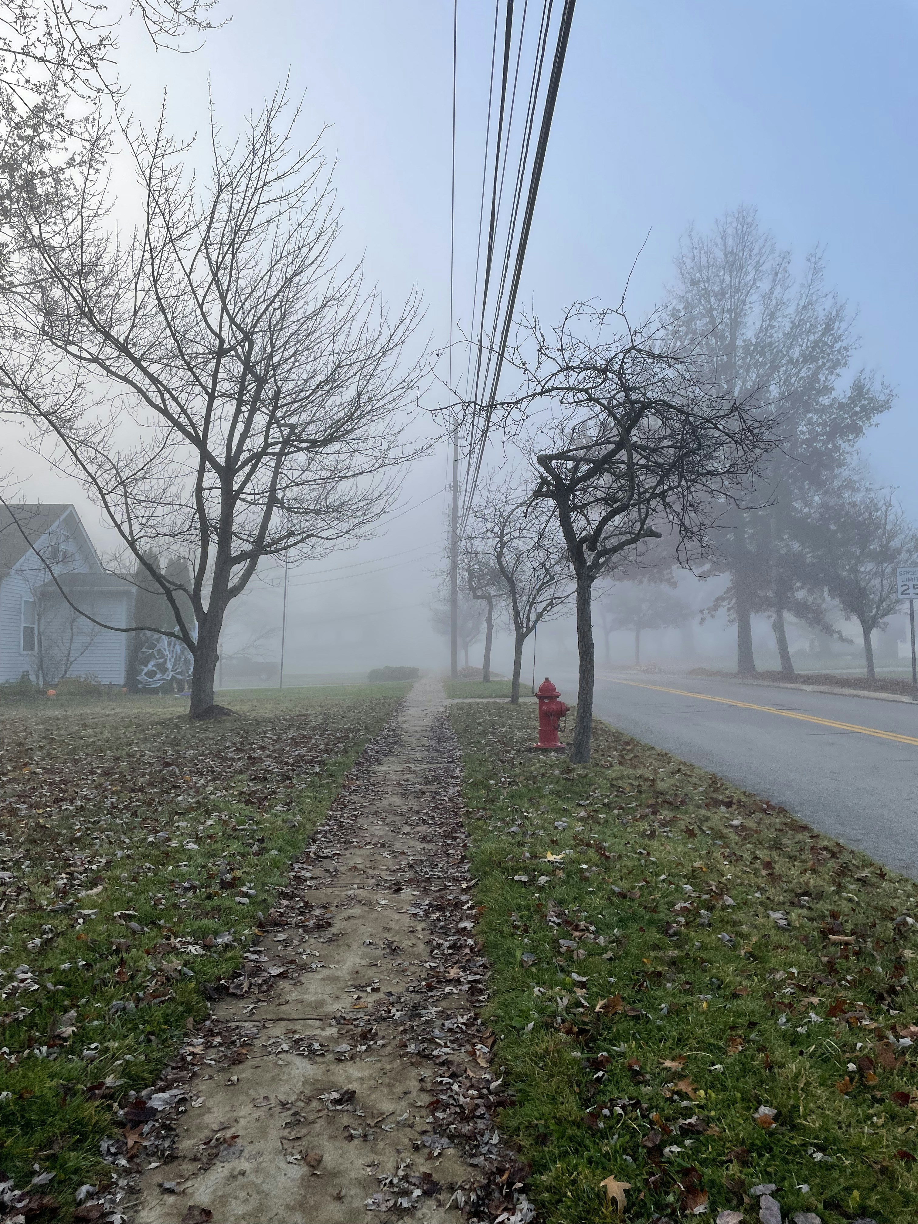 Mist-Blanketed Suburban Lane: A Path Vanishing into Dawn Fog