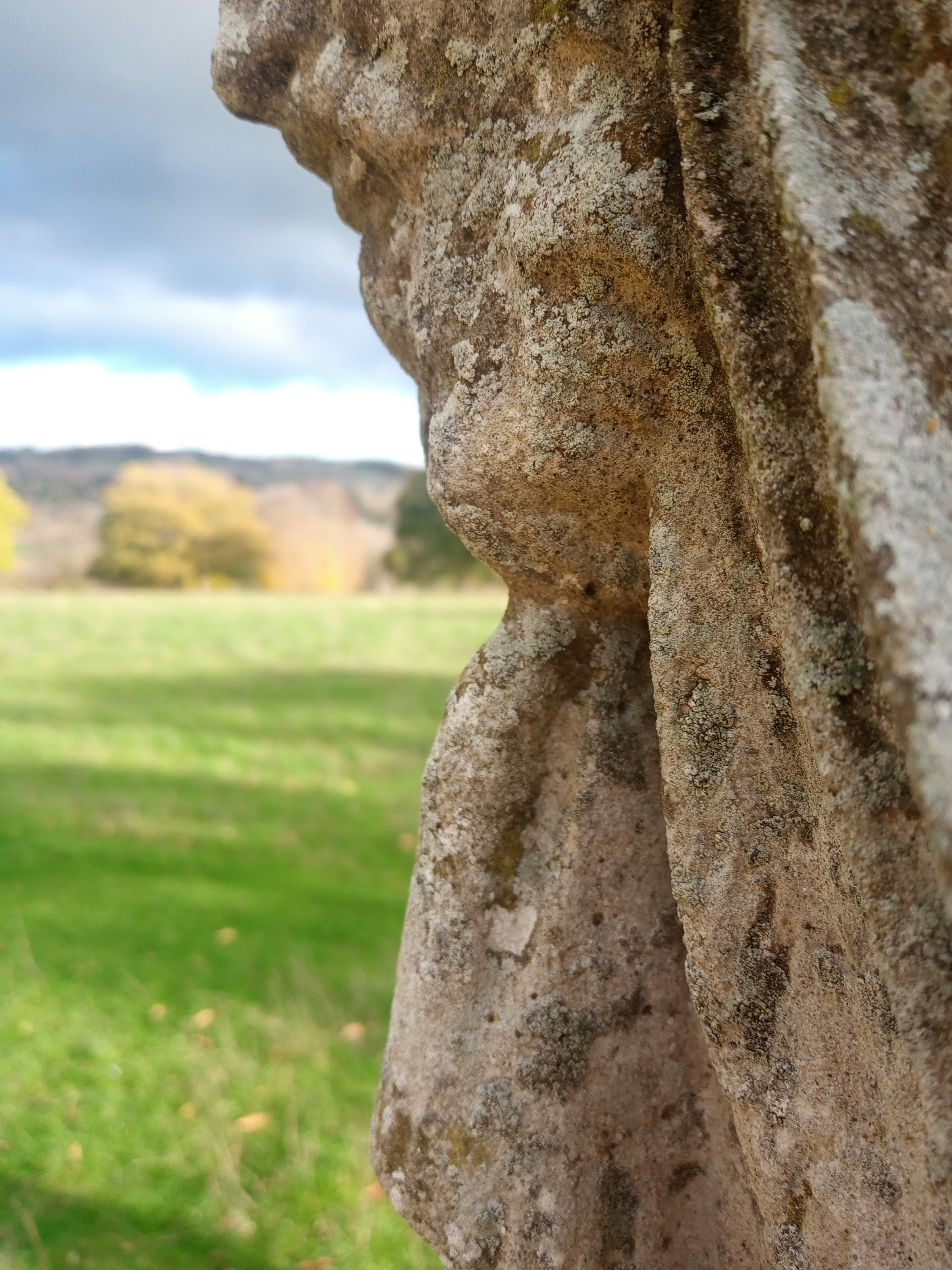 A close up of a tree trunk photo – Free National trust - basildon park ...
