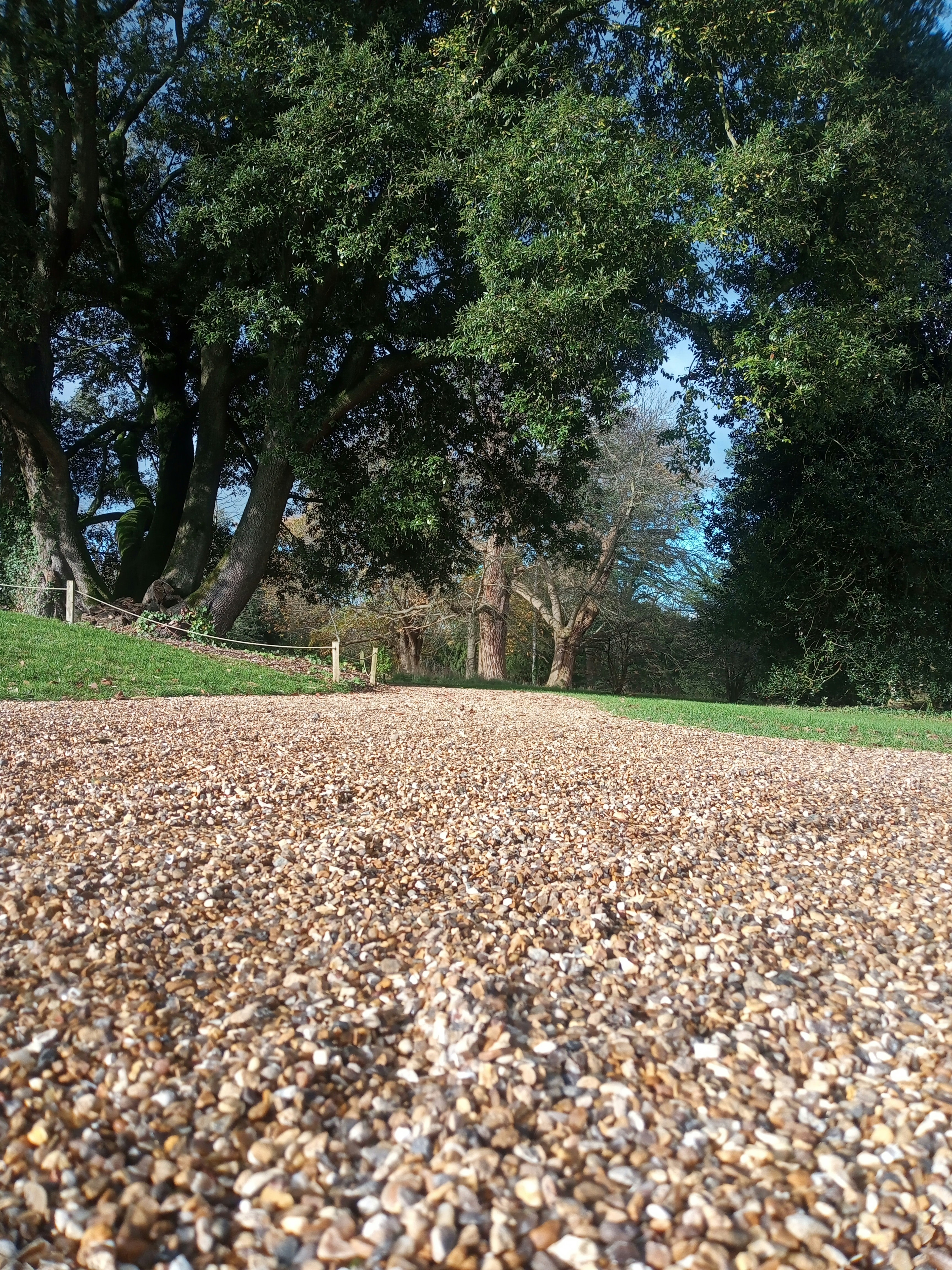Pebble Highway: Ground-Level Path Through Shade and Sun