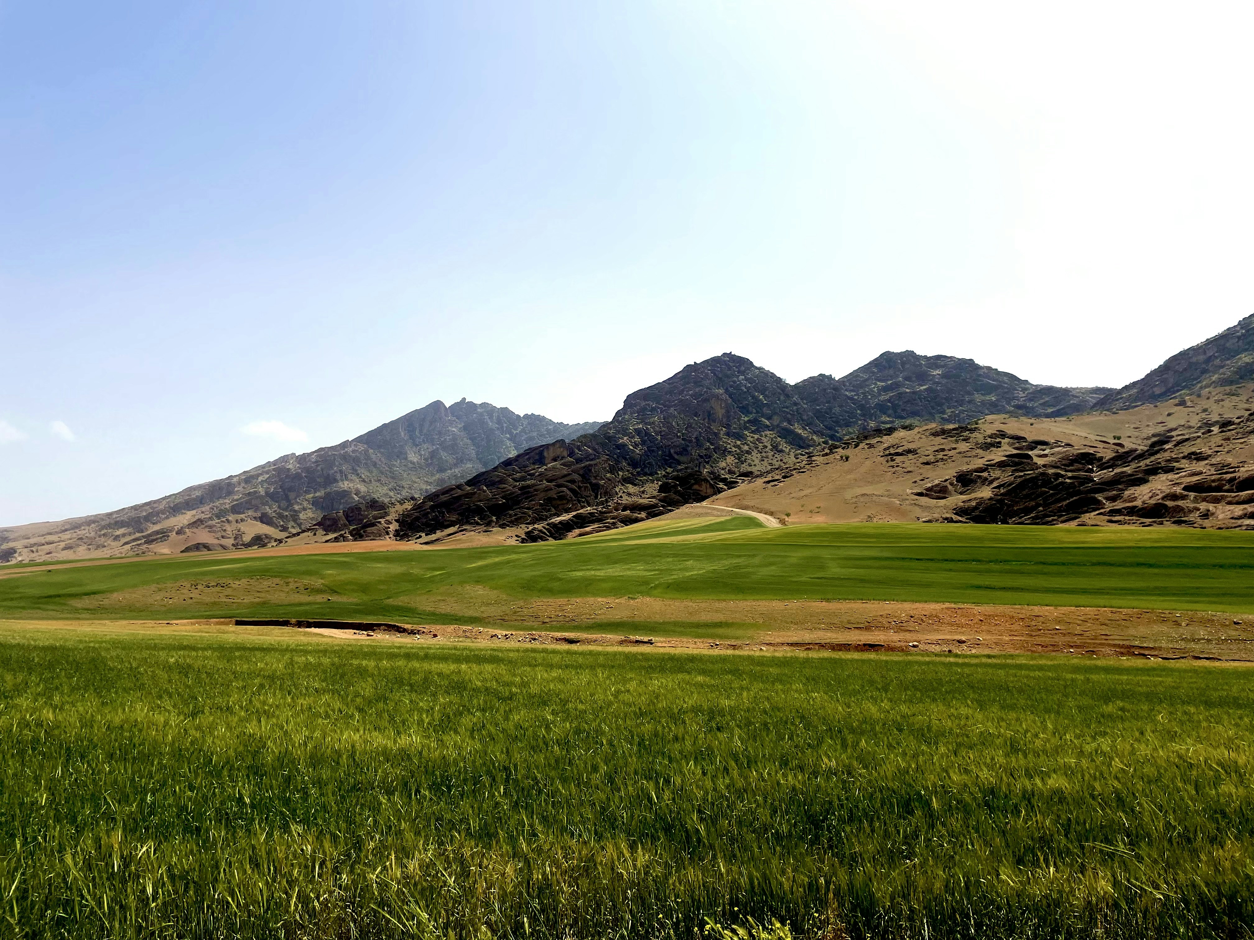 a grassy field with mountains in the background