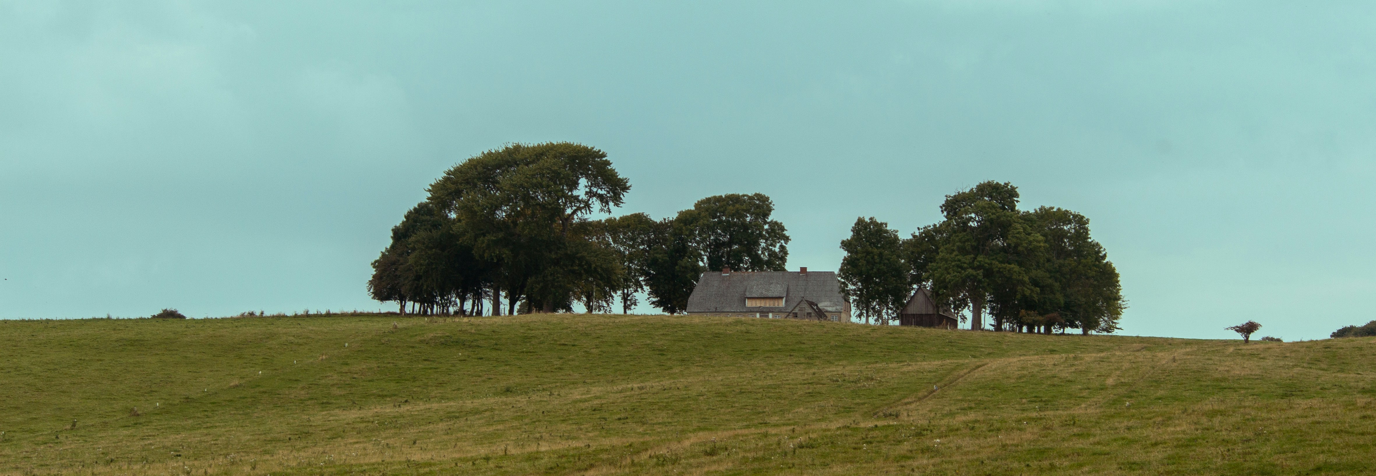 Solitary Stone House Amidst Windswept Trees