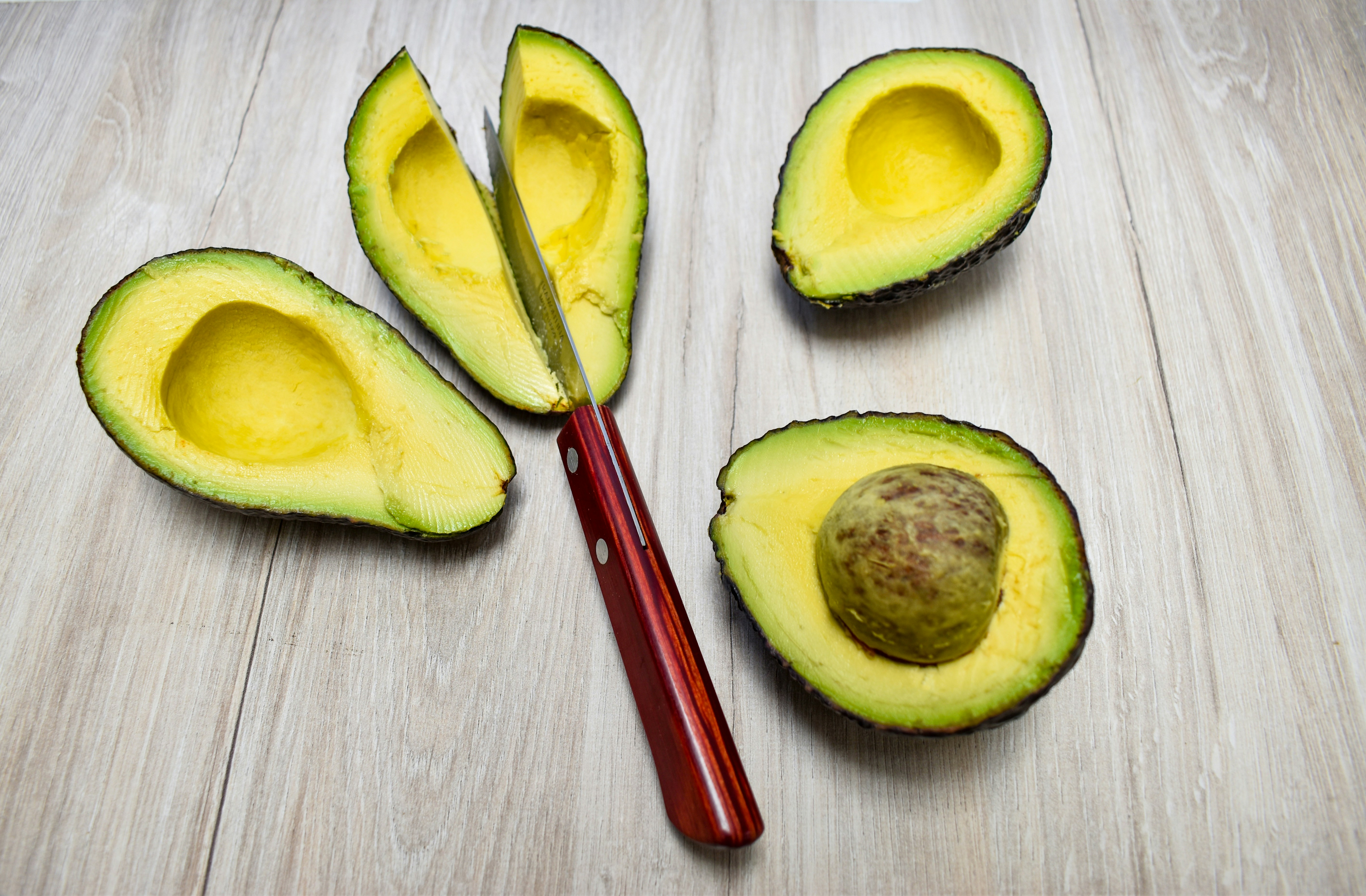 Free Palta Image on Unsplash