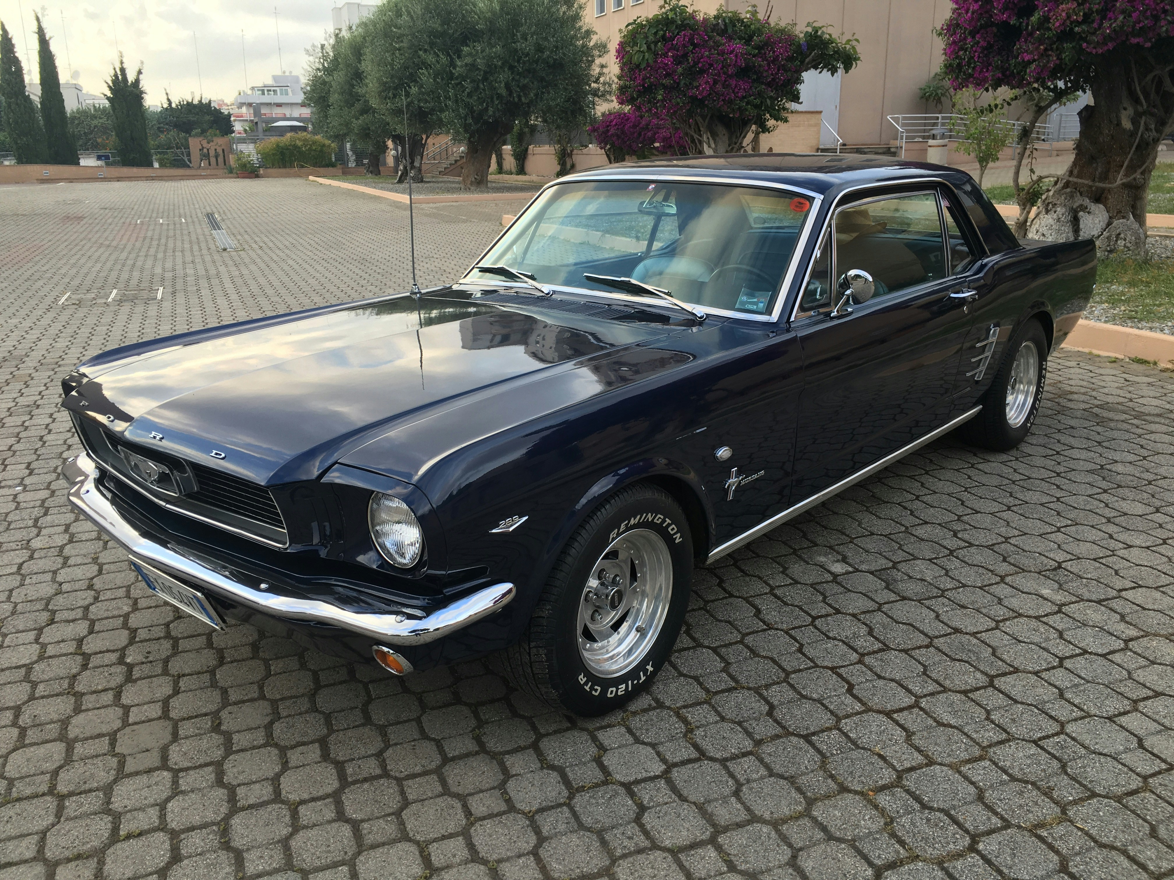 Vintage Ford Mustang parked on a cobblestone driveway with trees and buildings in the background.