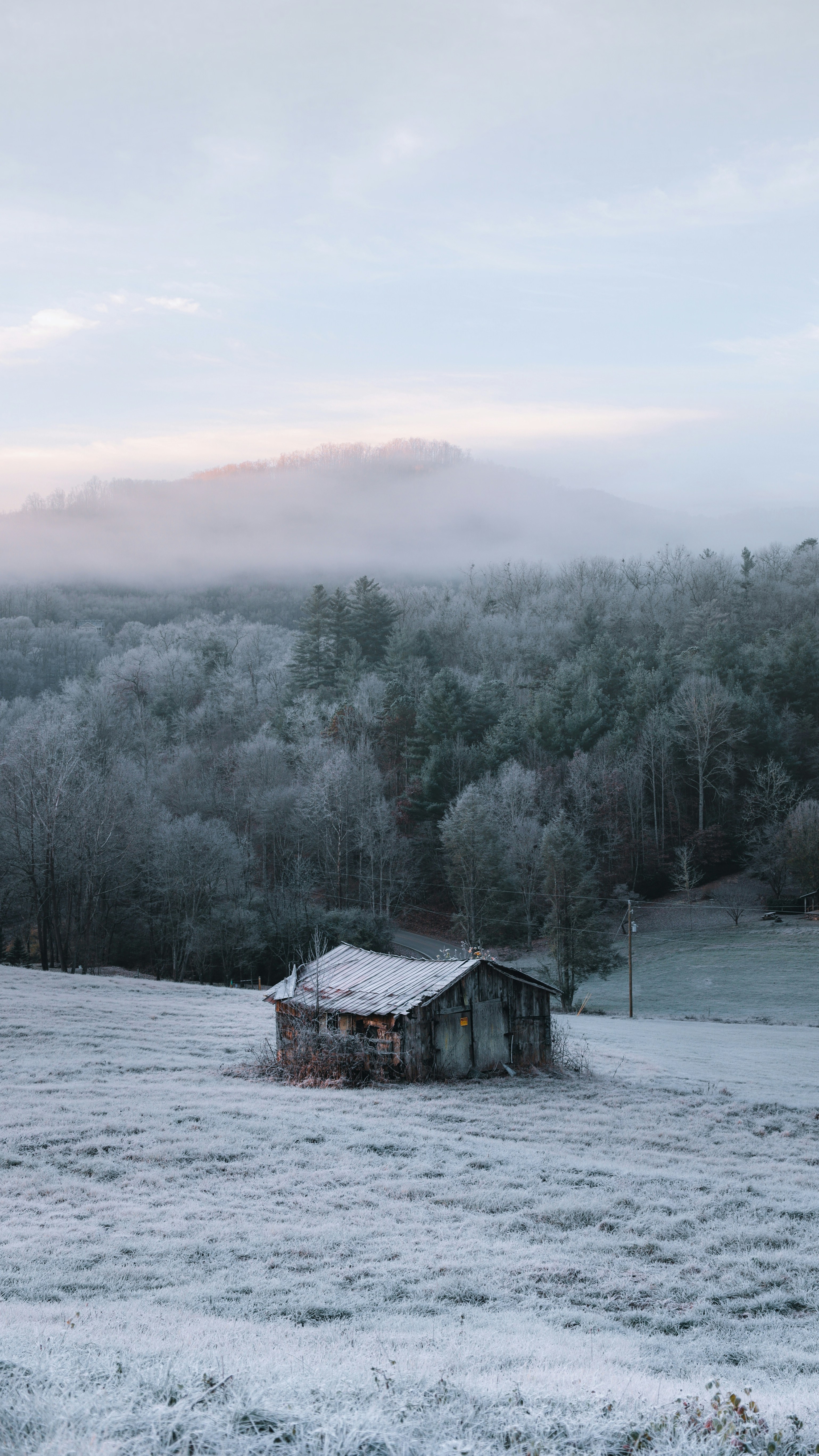 Frostbound Cabin at Dawn: A Quiet Clearing Beneath Misty Pines